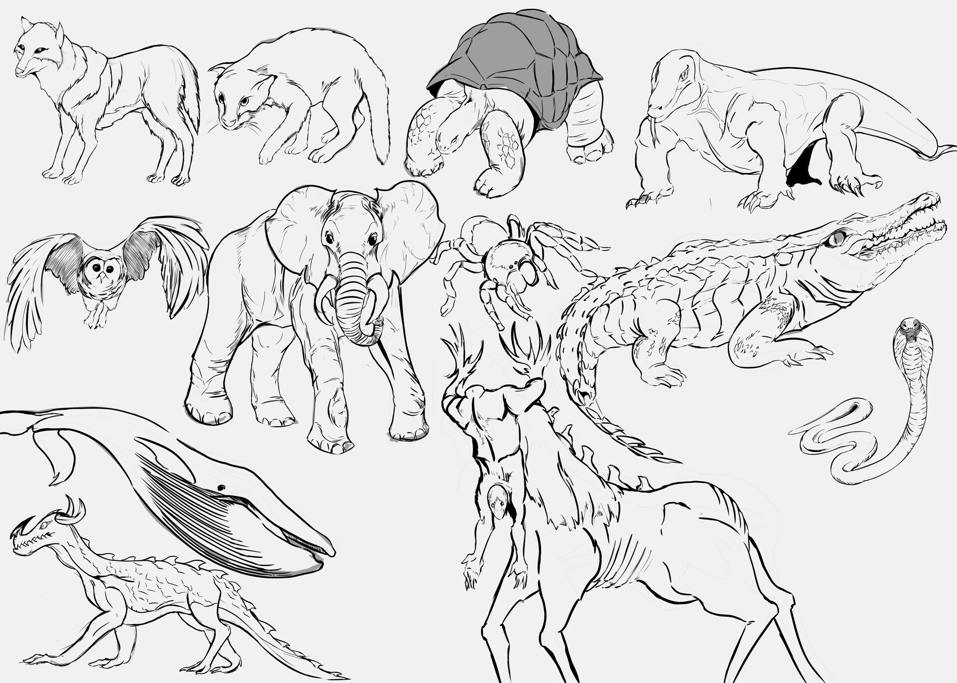 ArtStation - Animals and Creatures