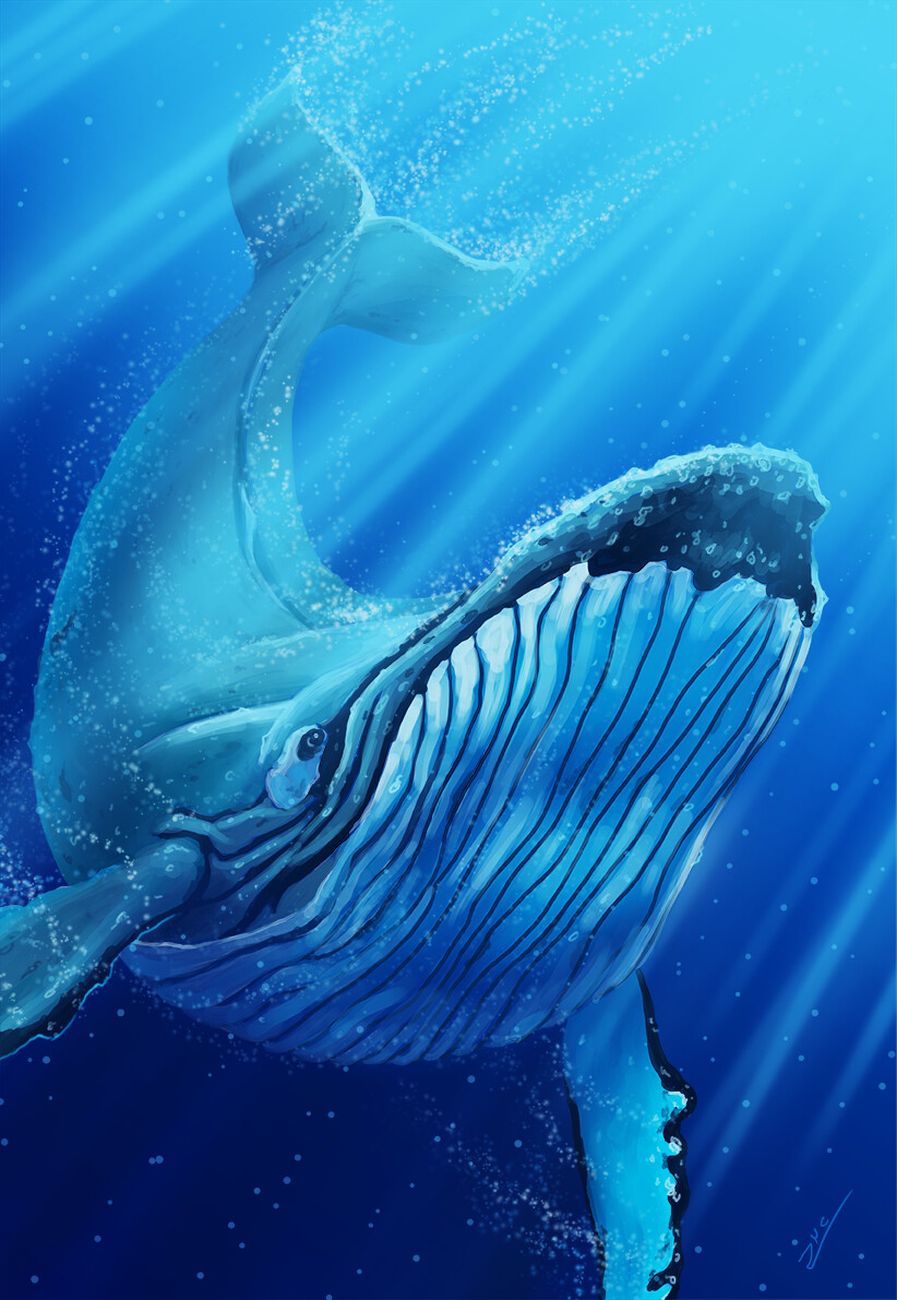 ArtStation - Whale