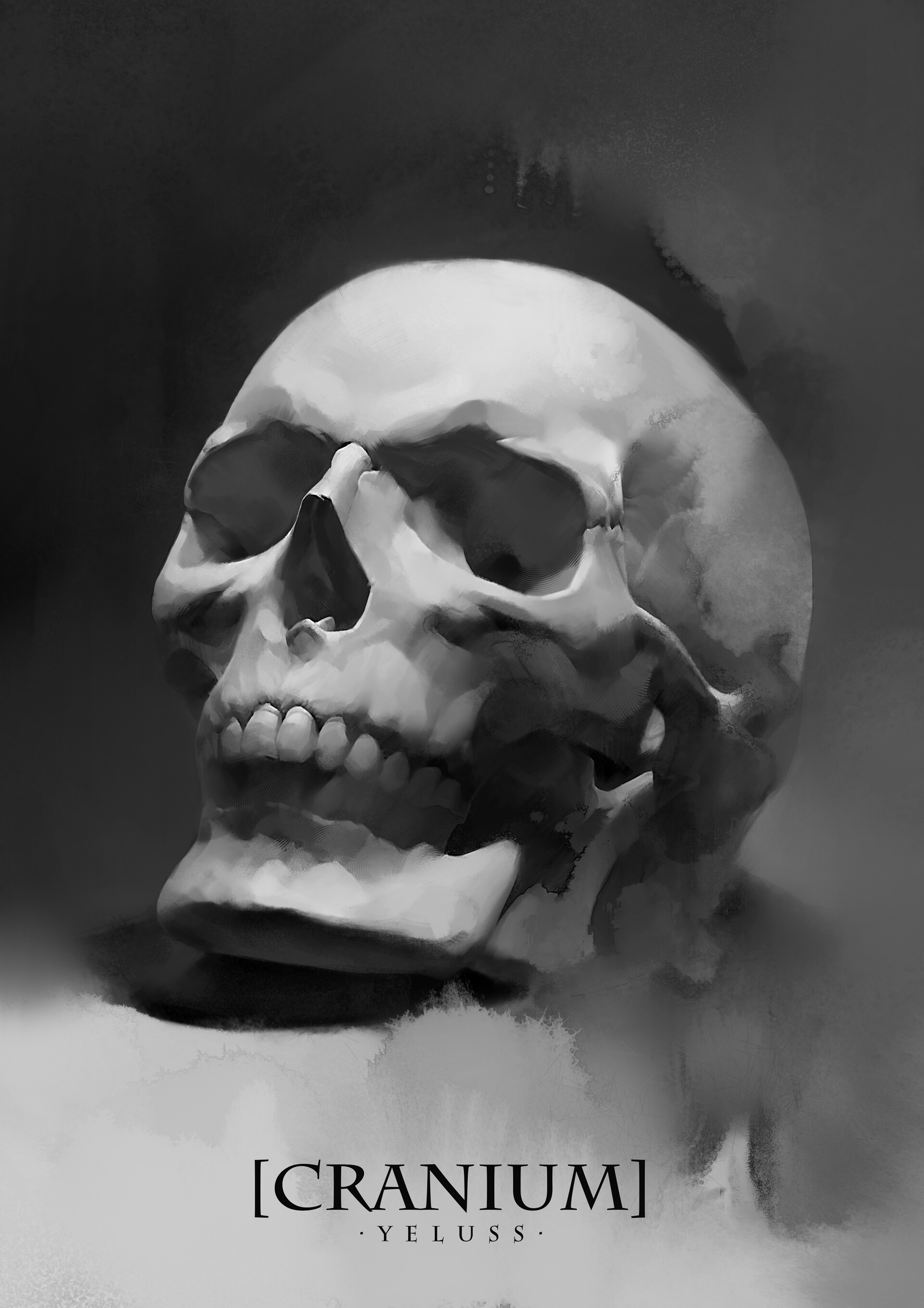 ArtStation - cranium