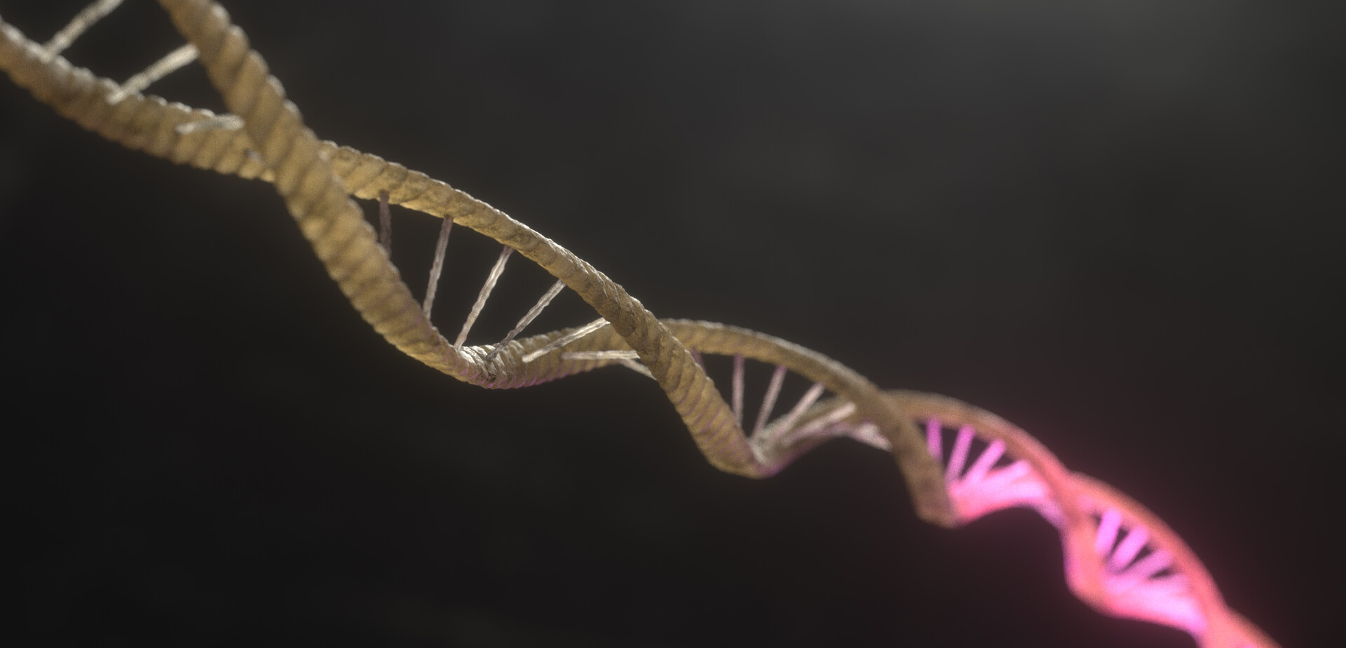 Kaleb Lechowski - DNA String Visualization