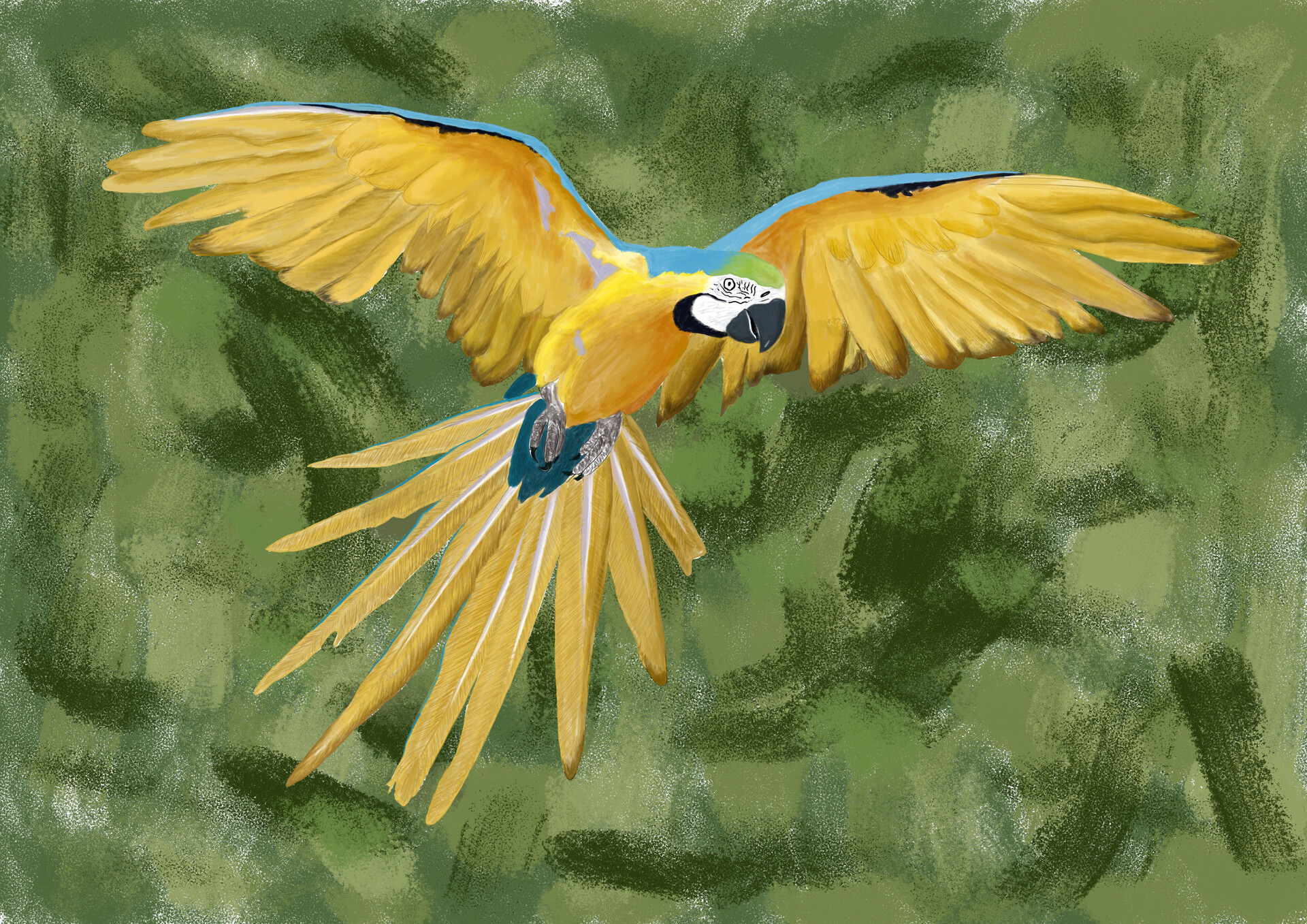 ArtStation - Loro volando