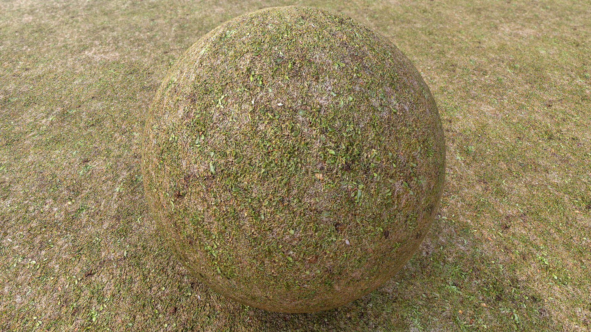 ArtStation - Grass - Photogrammetry based Environment Texture