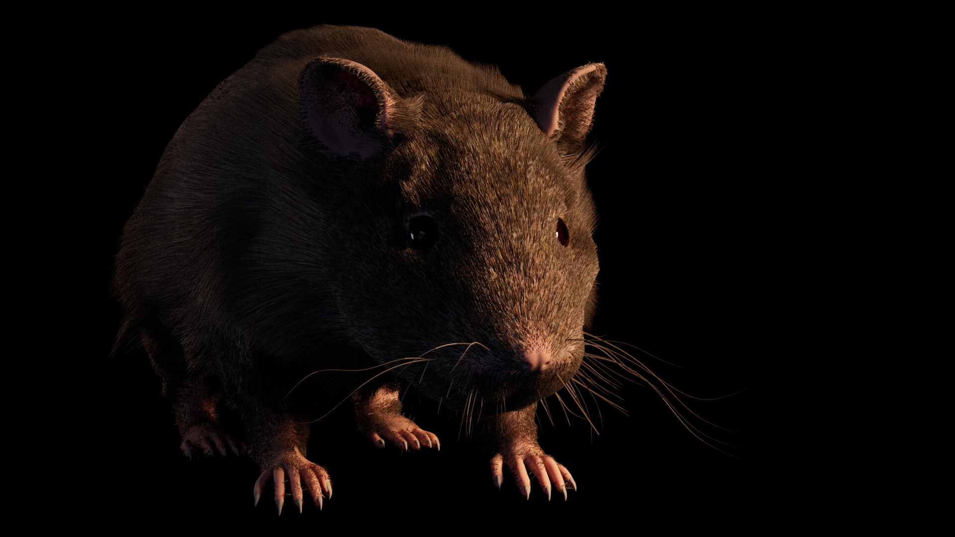 ArtStation - Rat