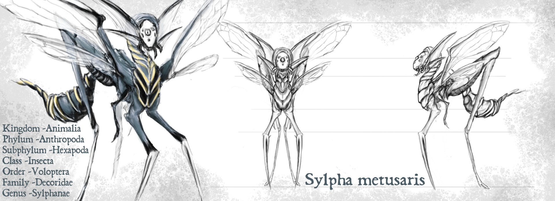 Alicia Keizer - Sylpha Metusaris