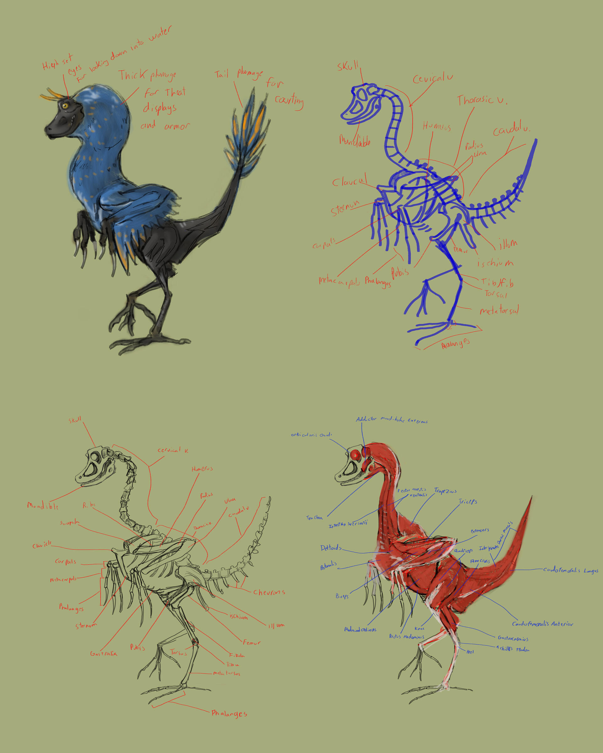 ArtStation - Imagined Creature Studies