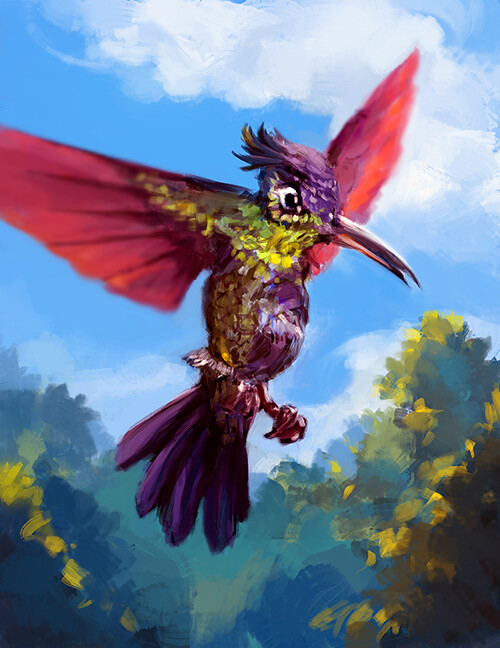 ArtStation - Humming-bird