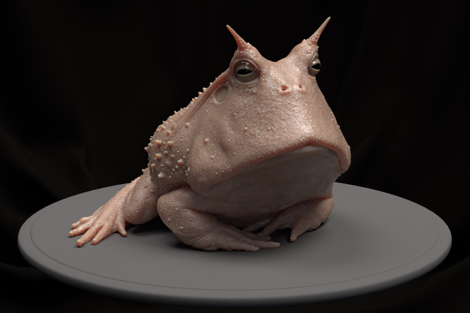 ArtStation - Horned Frog