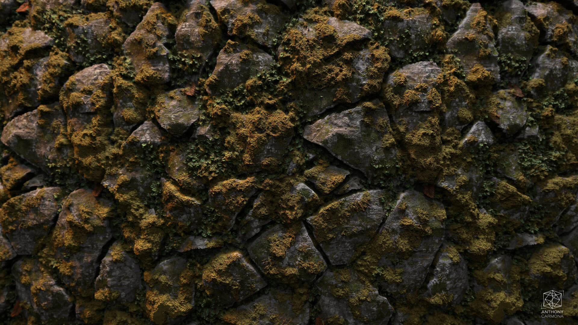 Anthony CARMONA - Stones Variants