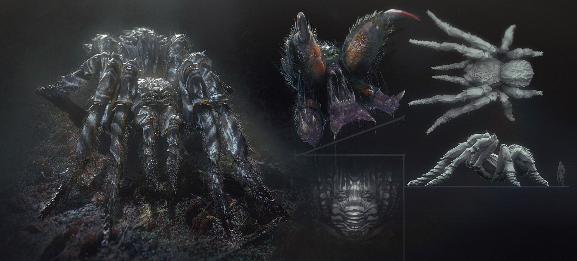 ArtStation - Spider design work2