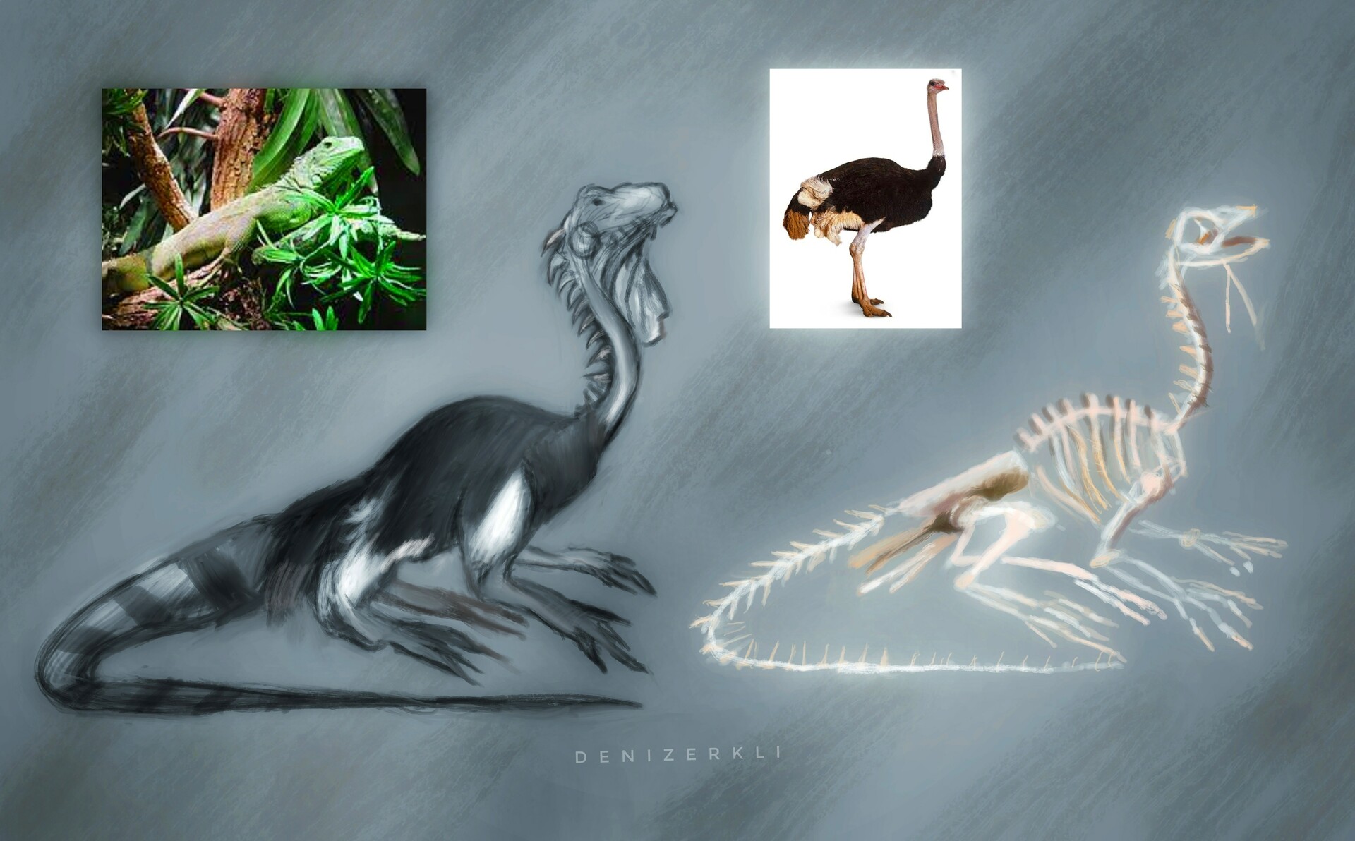 ArtStation - Concept Art Sketch Creature Design