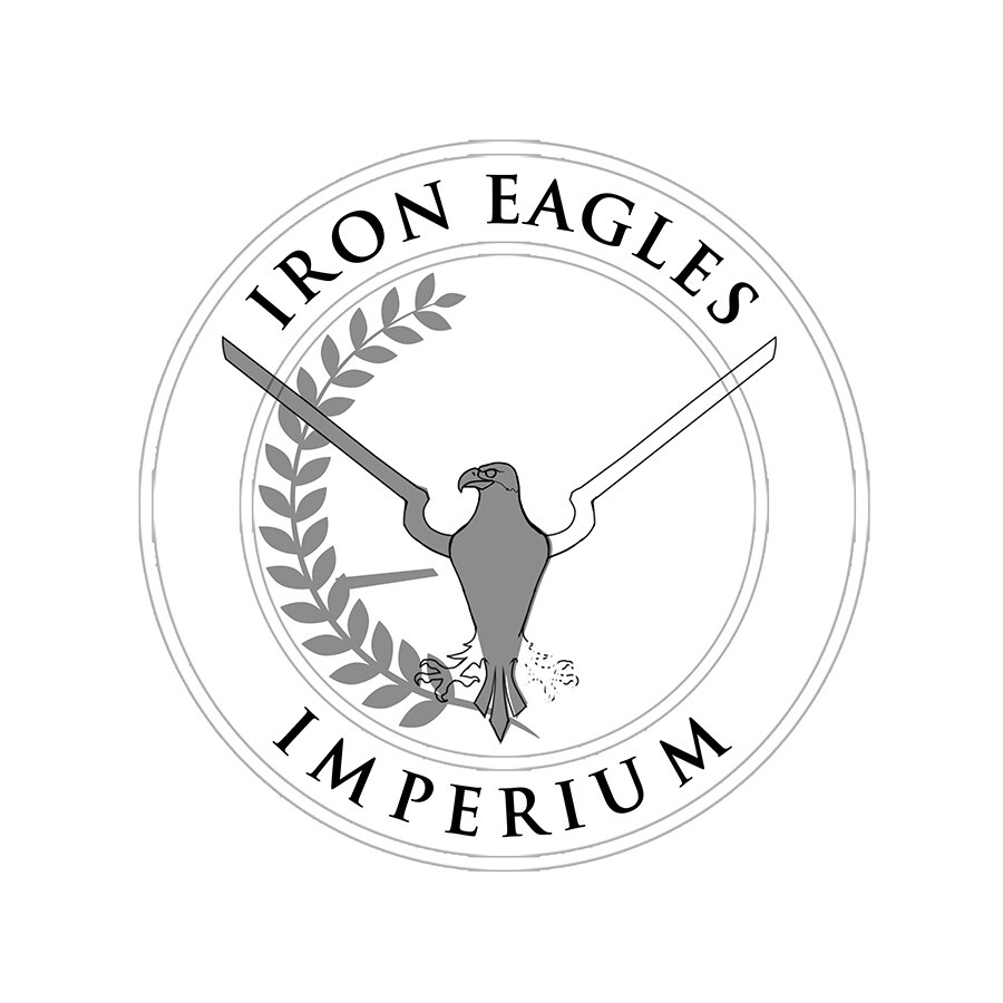 iron eagle logo