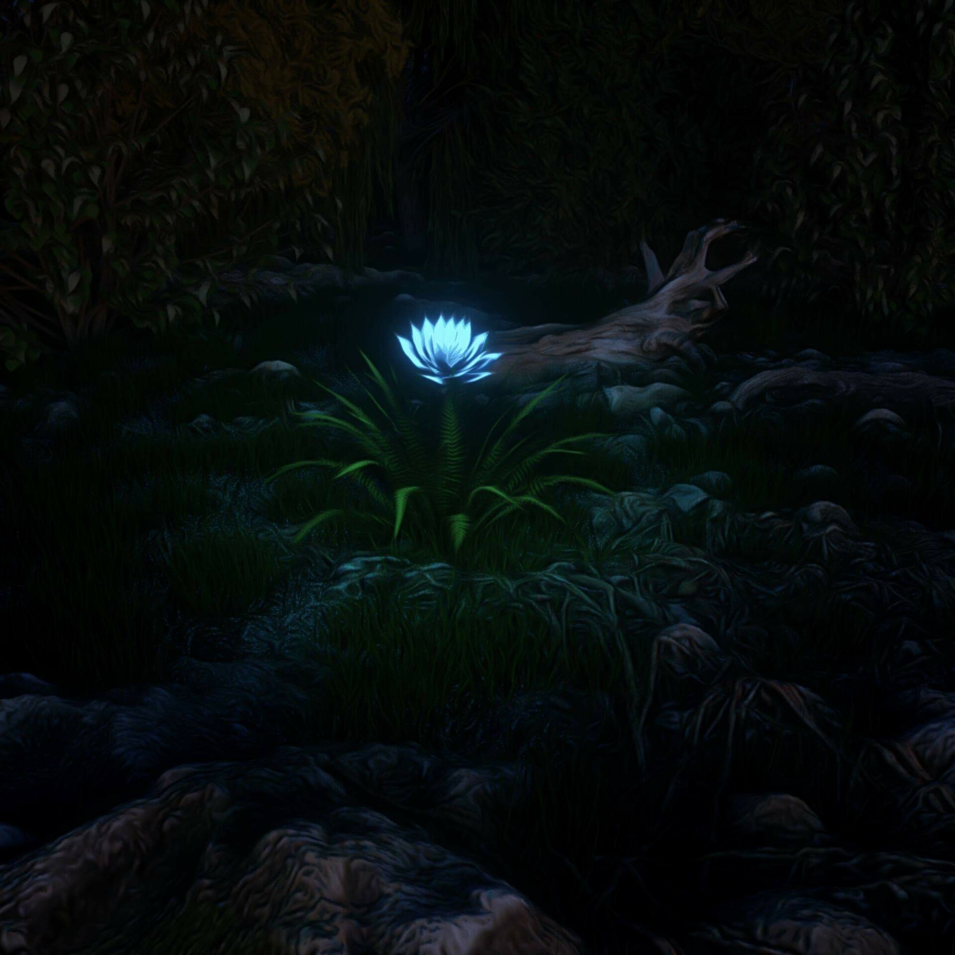 ArtStation - Night flower