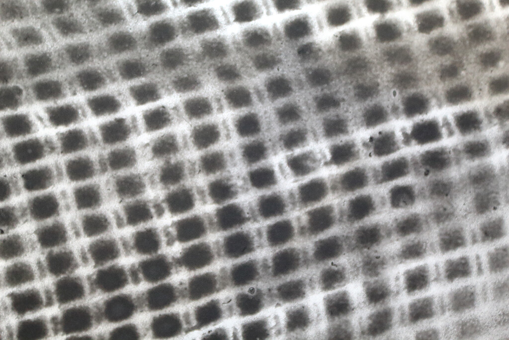 Alex Colburn - MICH 2000