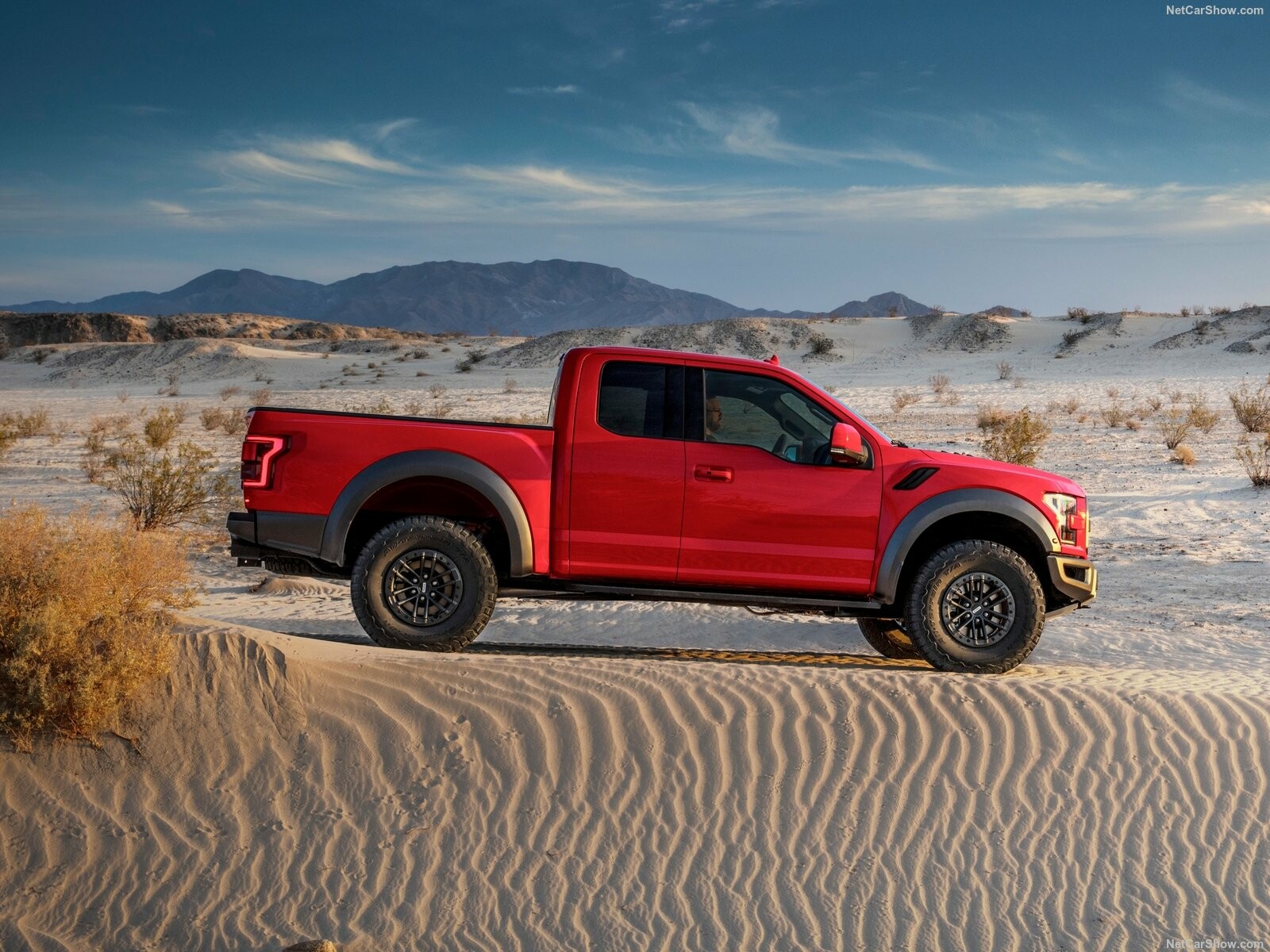 William Silva - 2019 Ford F-150 Raptor 6x6