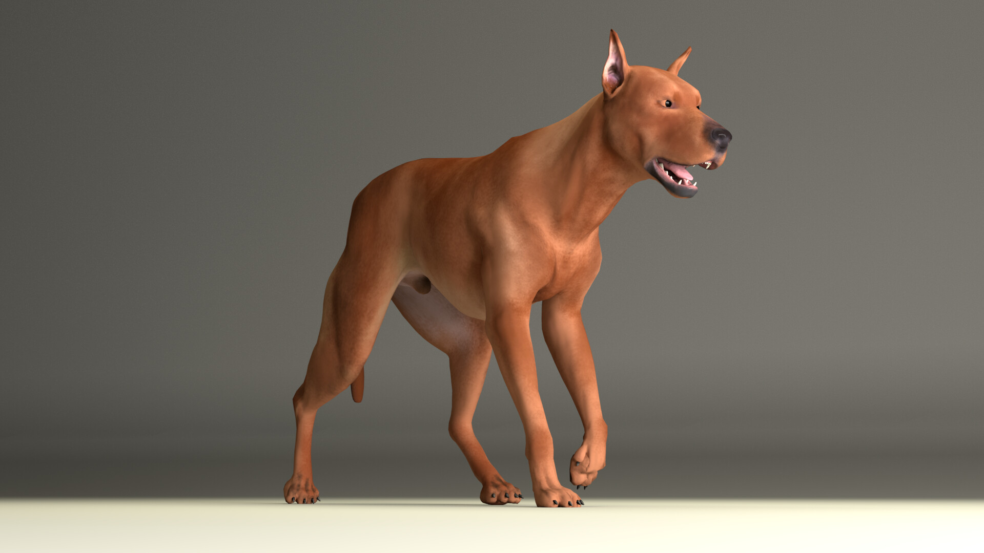 ArtStation - Dog walk cycle