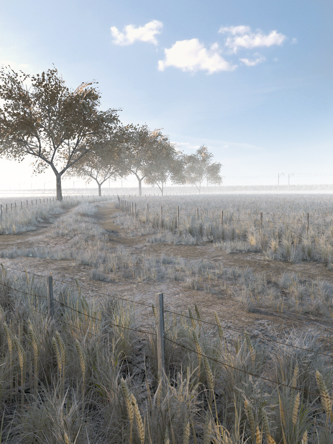 ArtStation - Morning Wheatfield