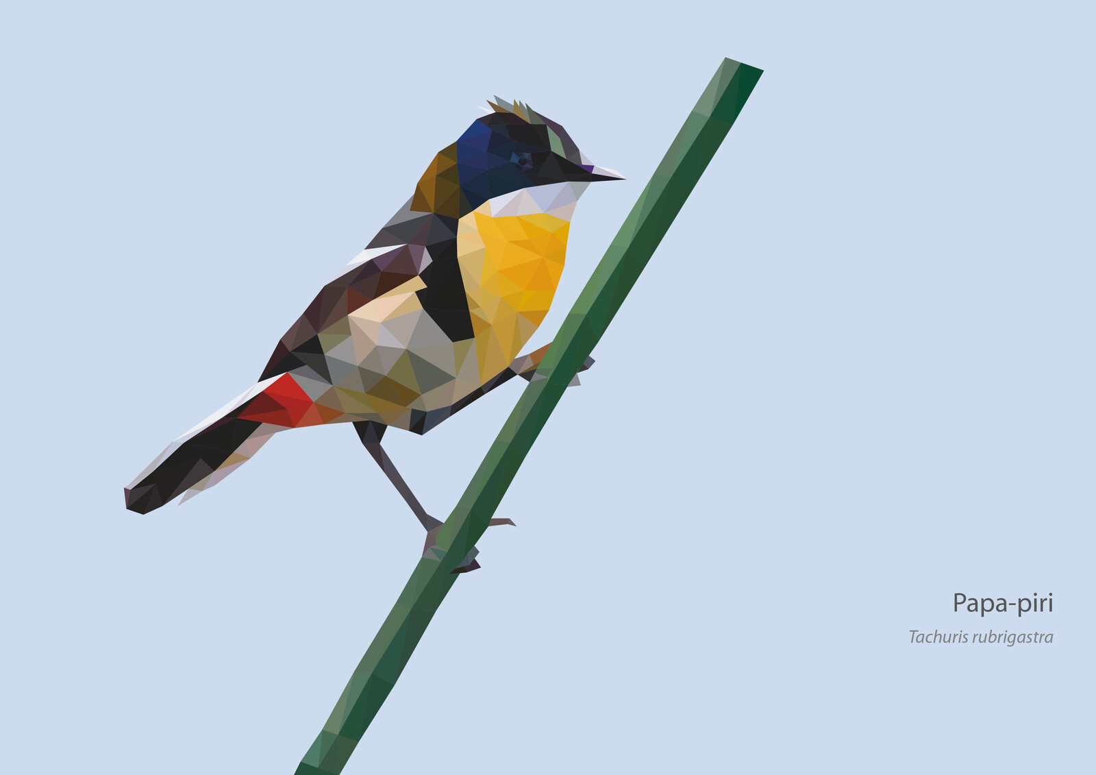 Tai Vieira - Low Poly Birds