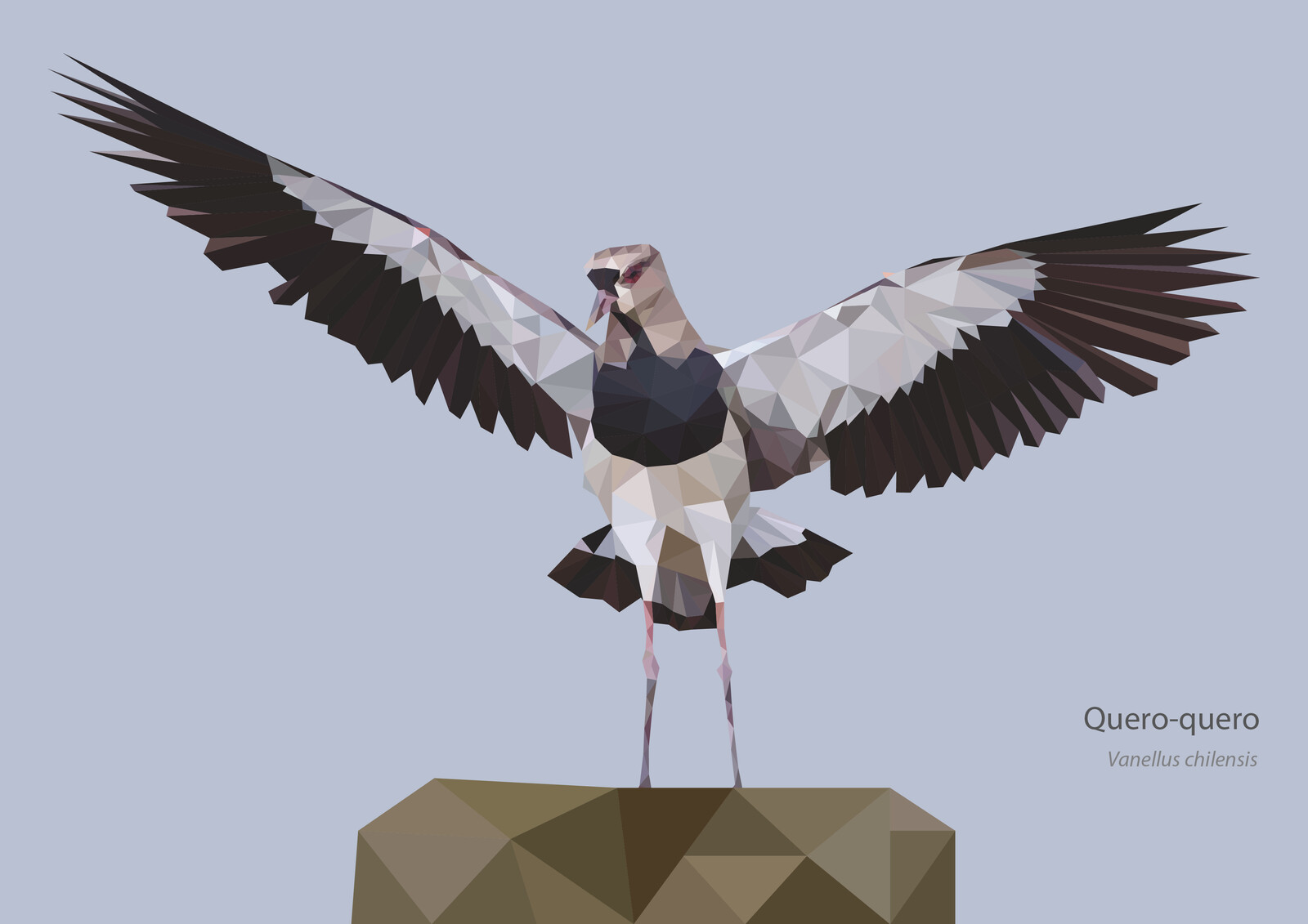 Tai Vieira - Low Poly Birds