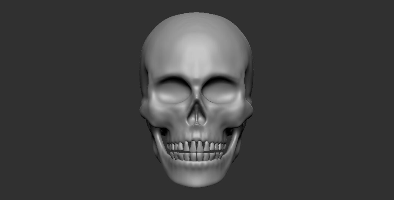 ArtStation - Human skull