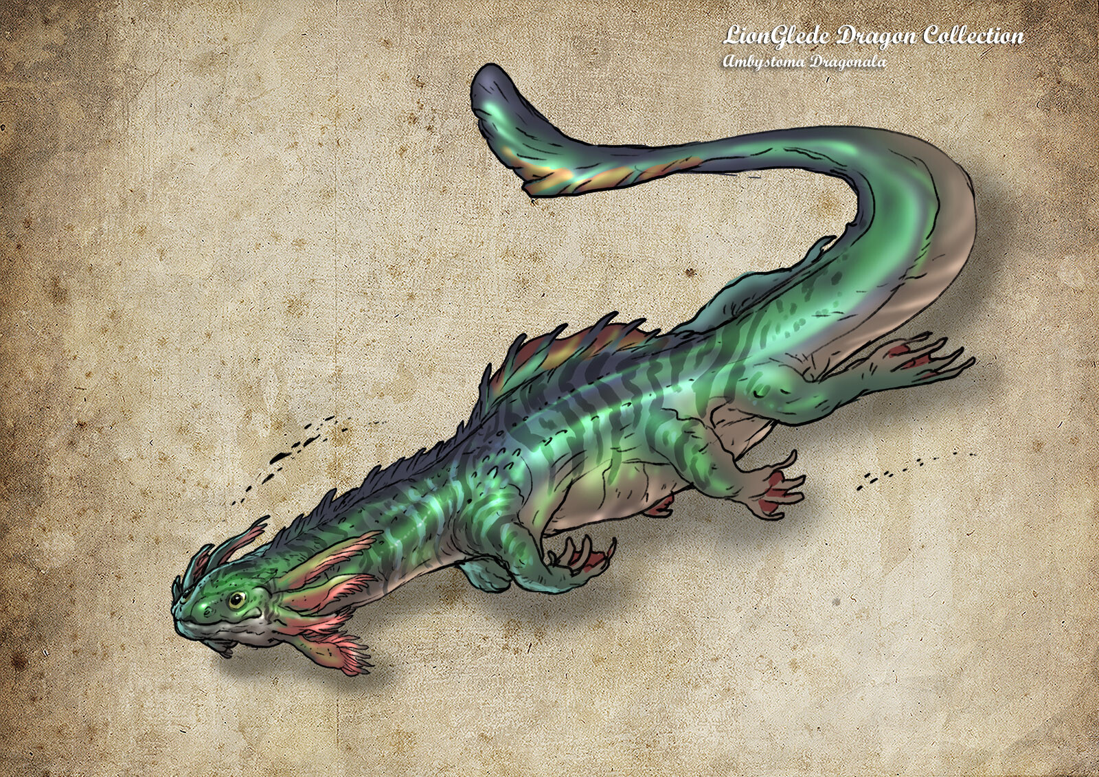 ArtStation - My personal Dragon Series: Ambystoma Dragonala