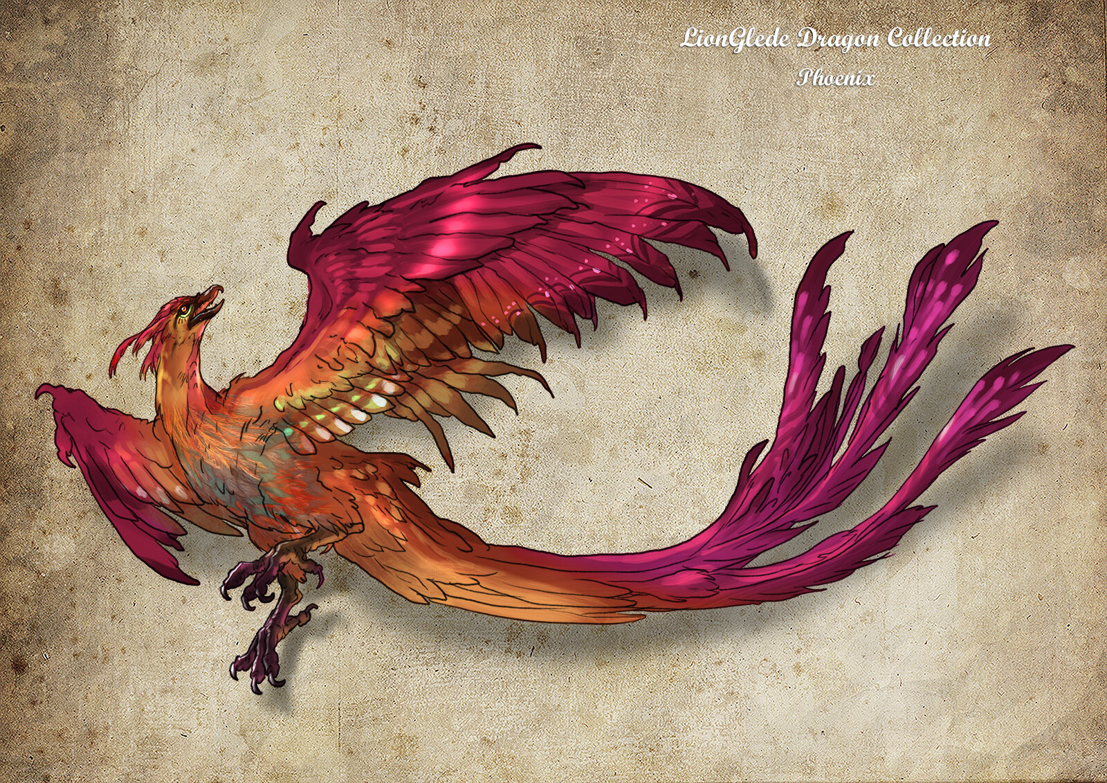 ArtStation - Phoenix（Male）Chinese called : 凤