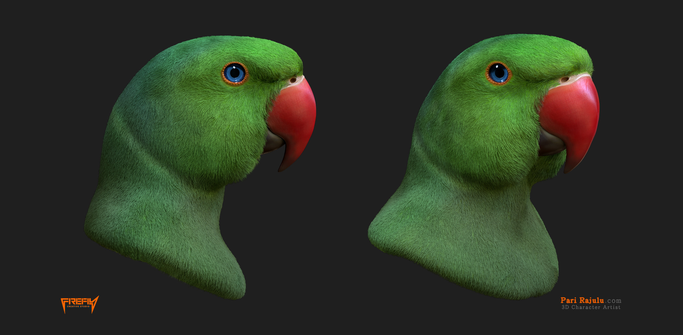 Pari Rajulu - Parrot-ish Humans