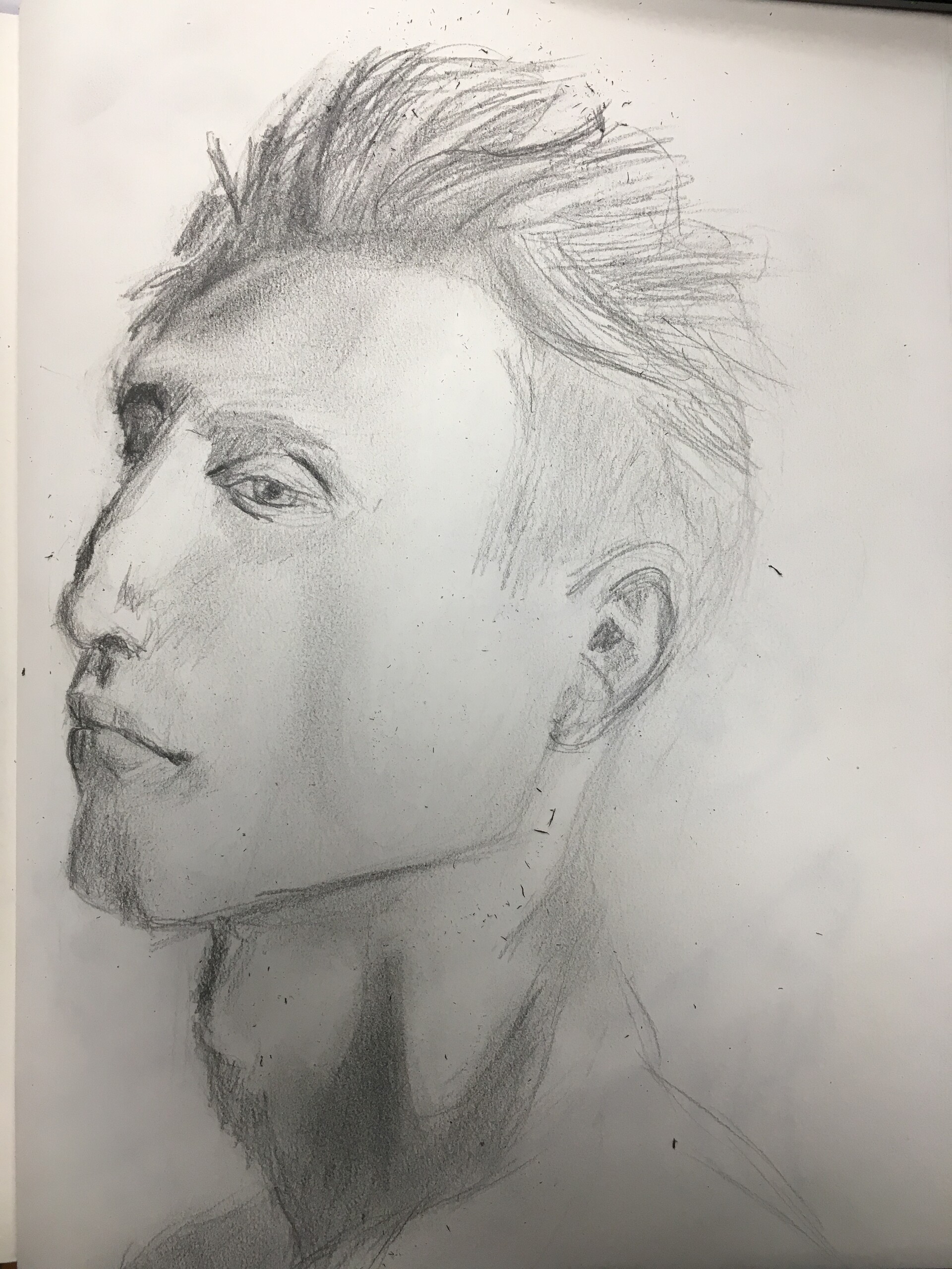 ArtStation - Face Sketches