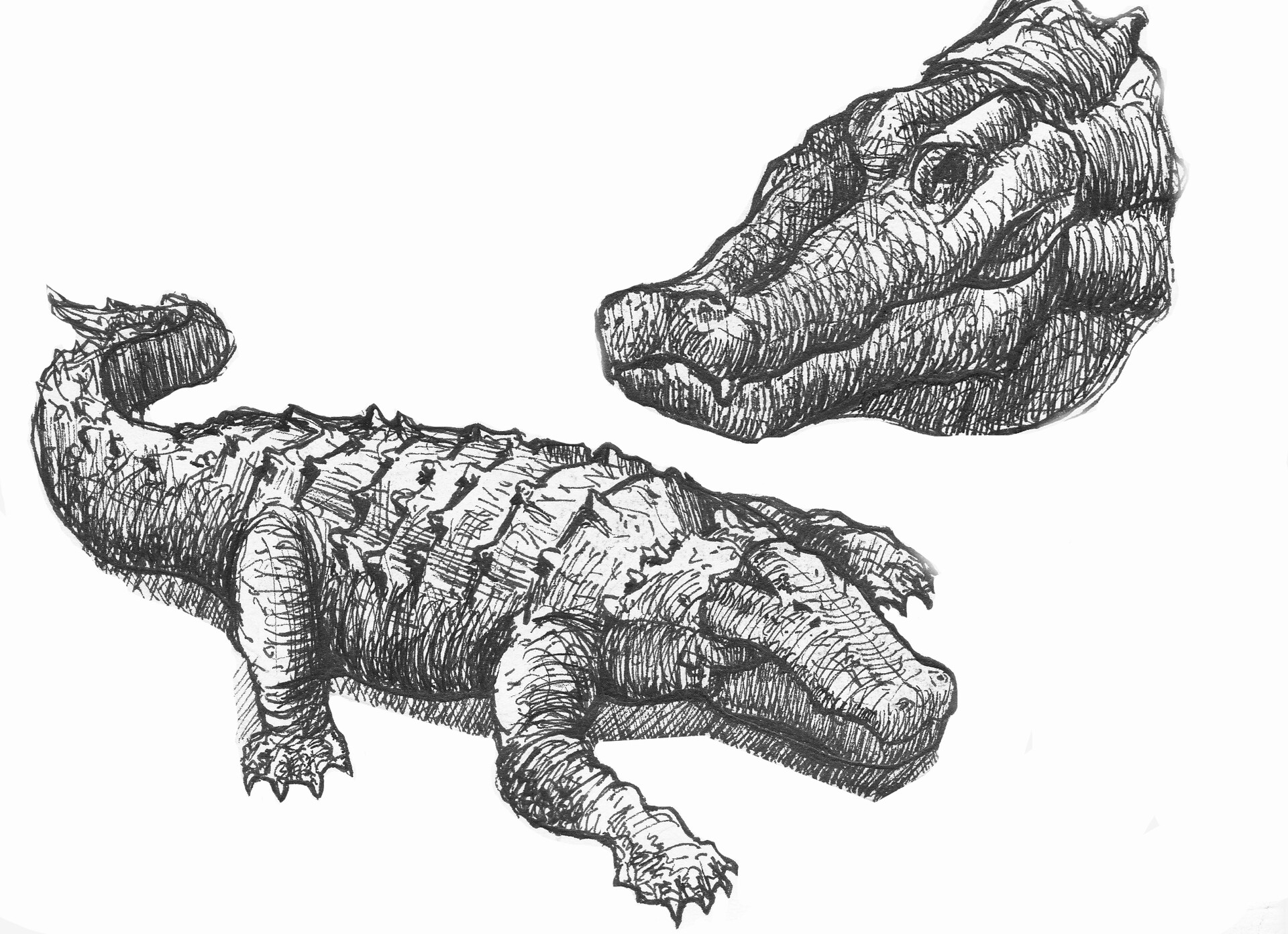 ArtStation - Crocodile