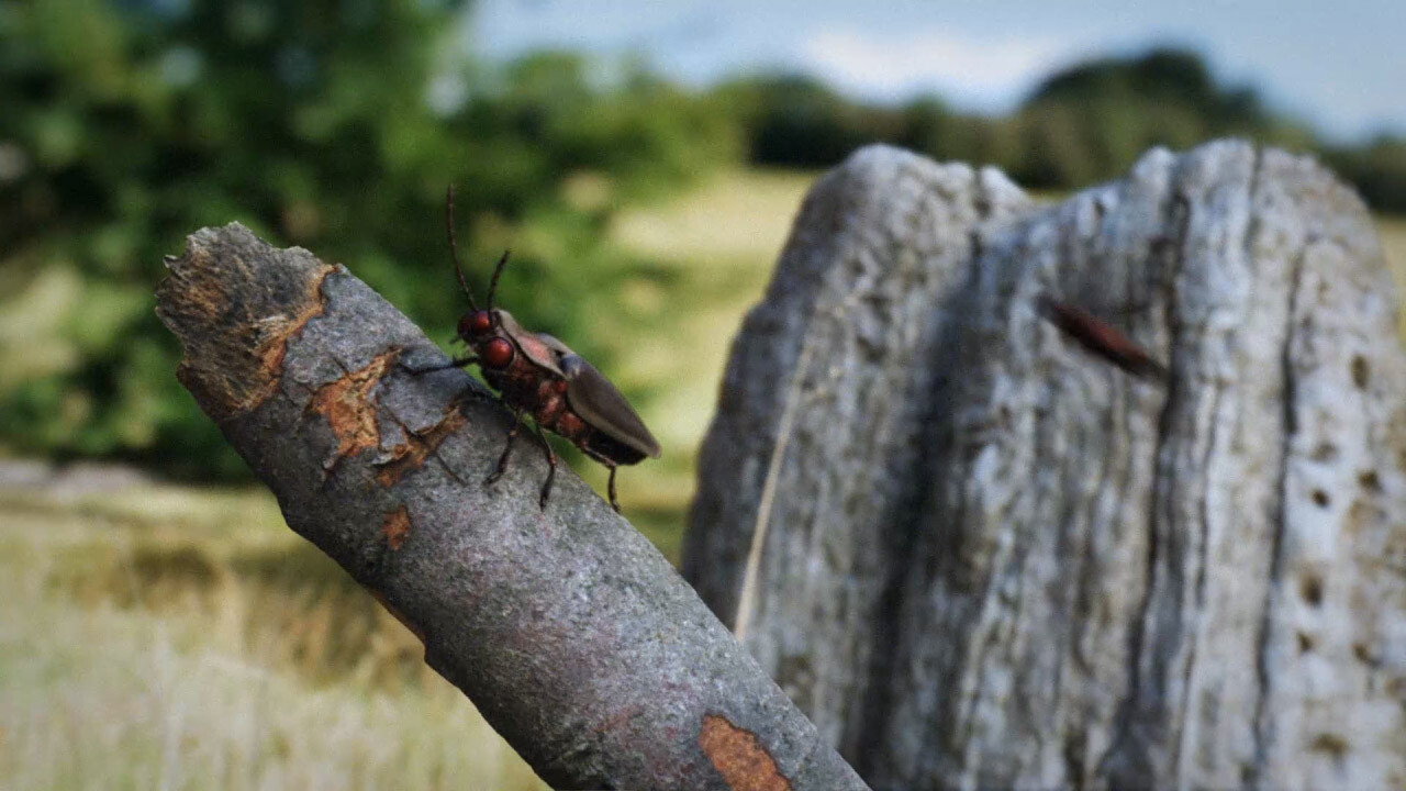 Alex Franks - Flying Insect VFX Shot