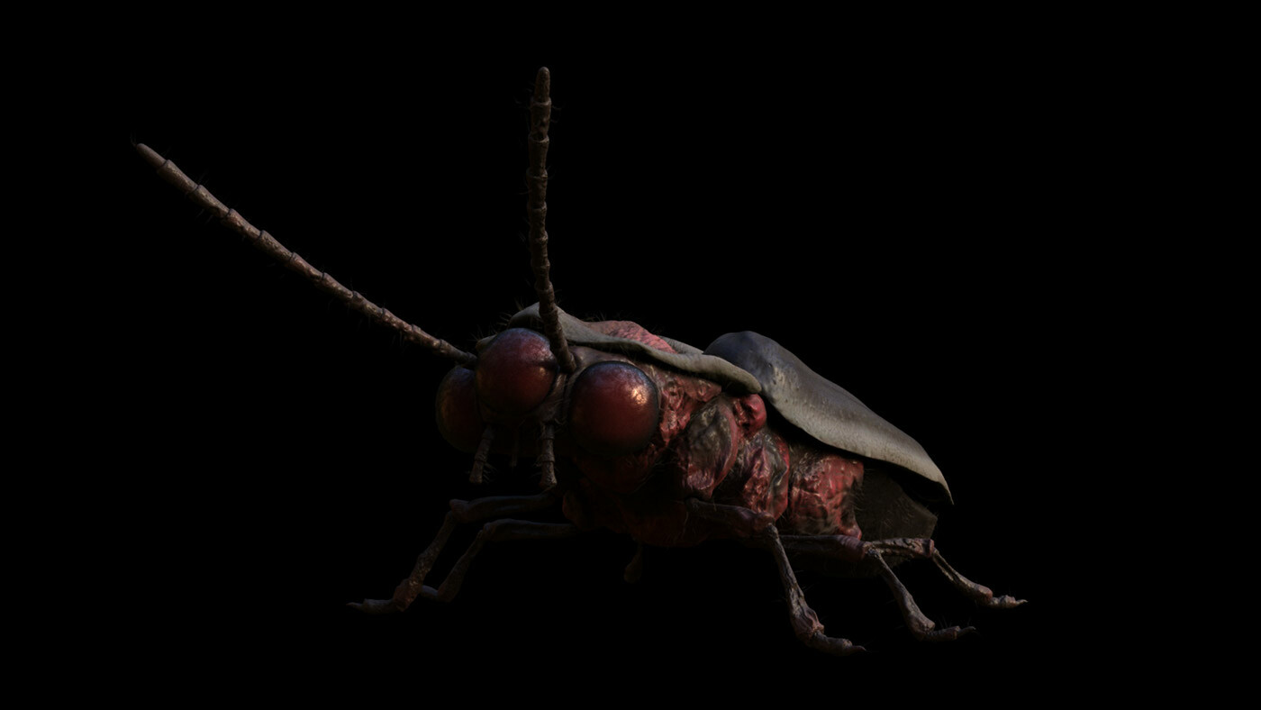 Alex Franks - Flying Insect VFX Shot