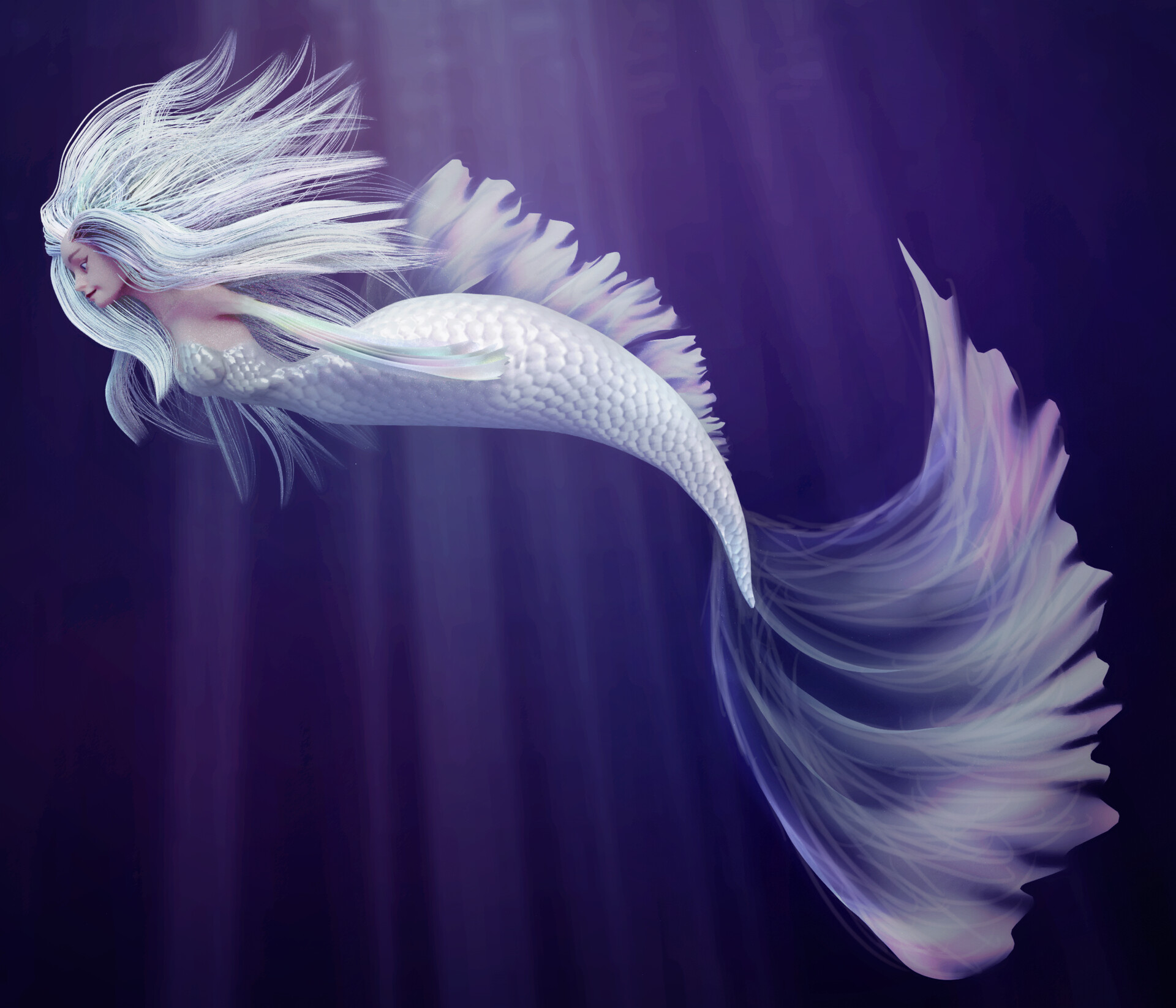 ArtStation - betta fish mermaid for mermay