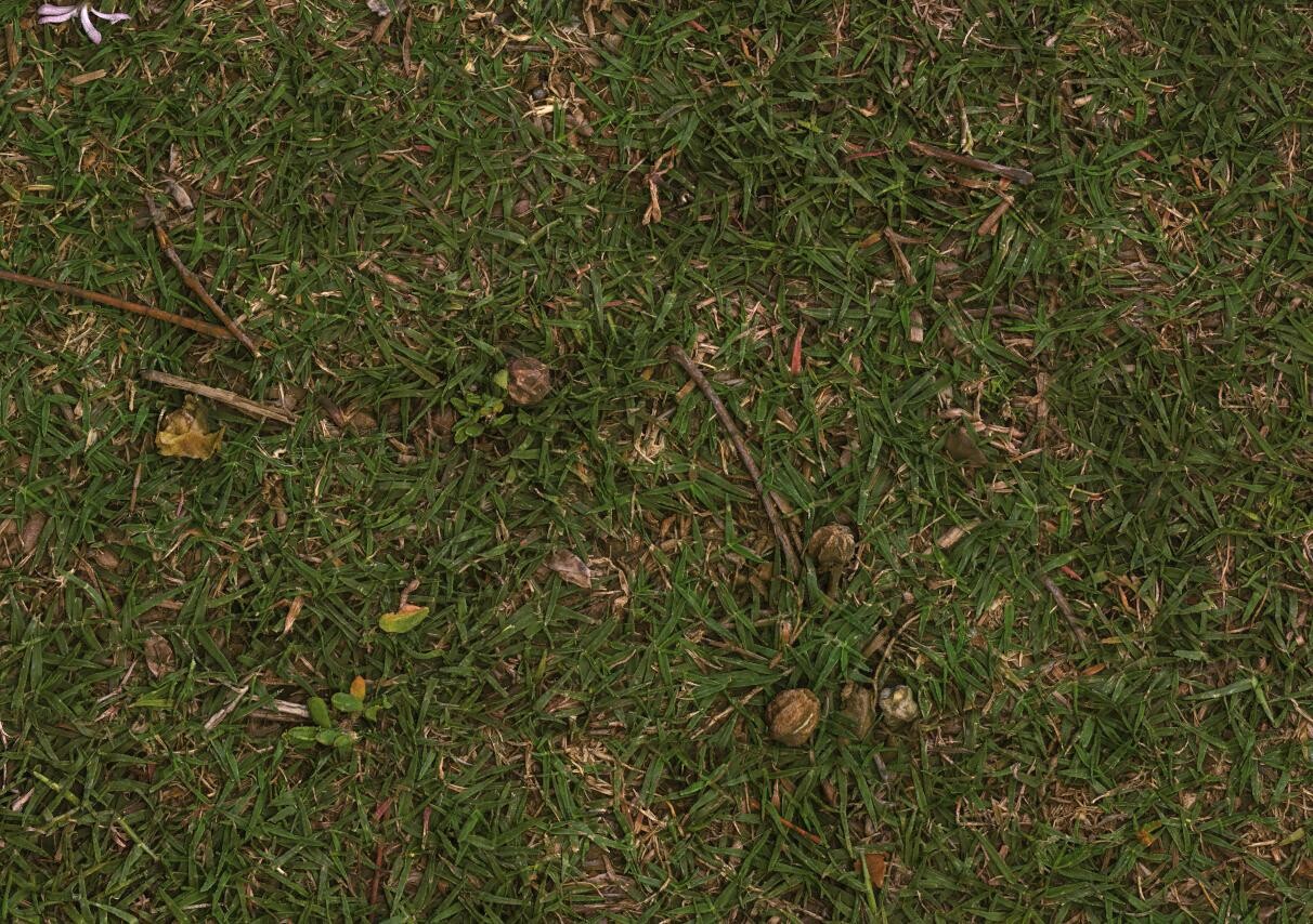 Takavach Rafizadeh - Micro Details PBR UnCut Grass Photogrammetry Material