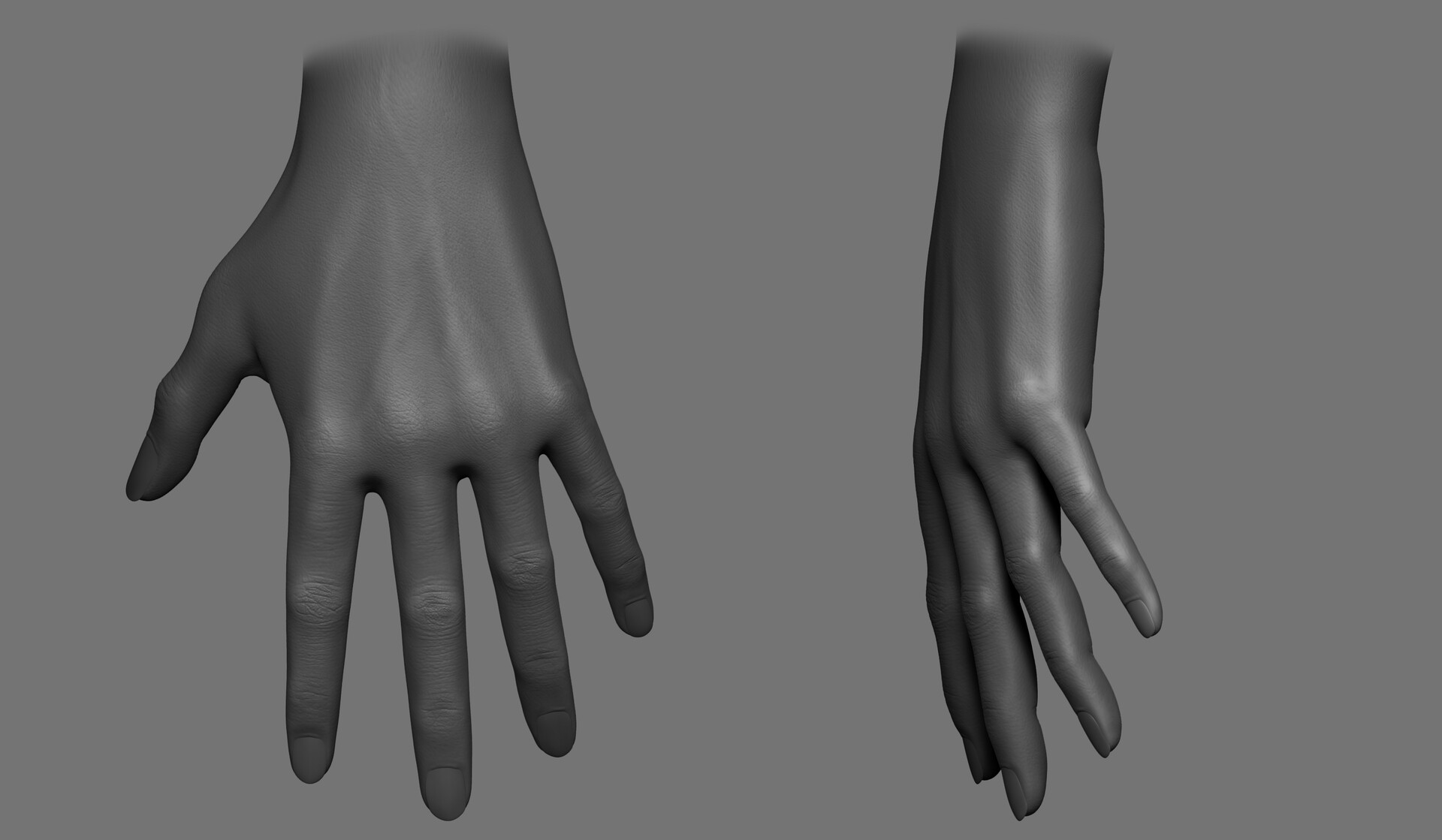ArtStation - Realistic Hand Study