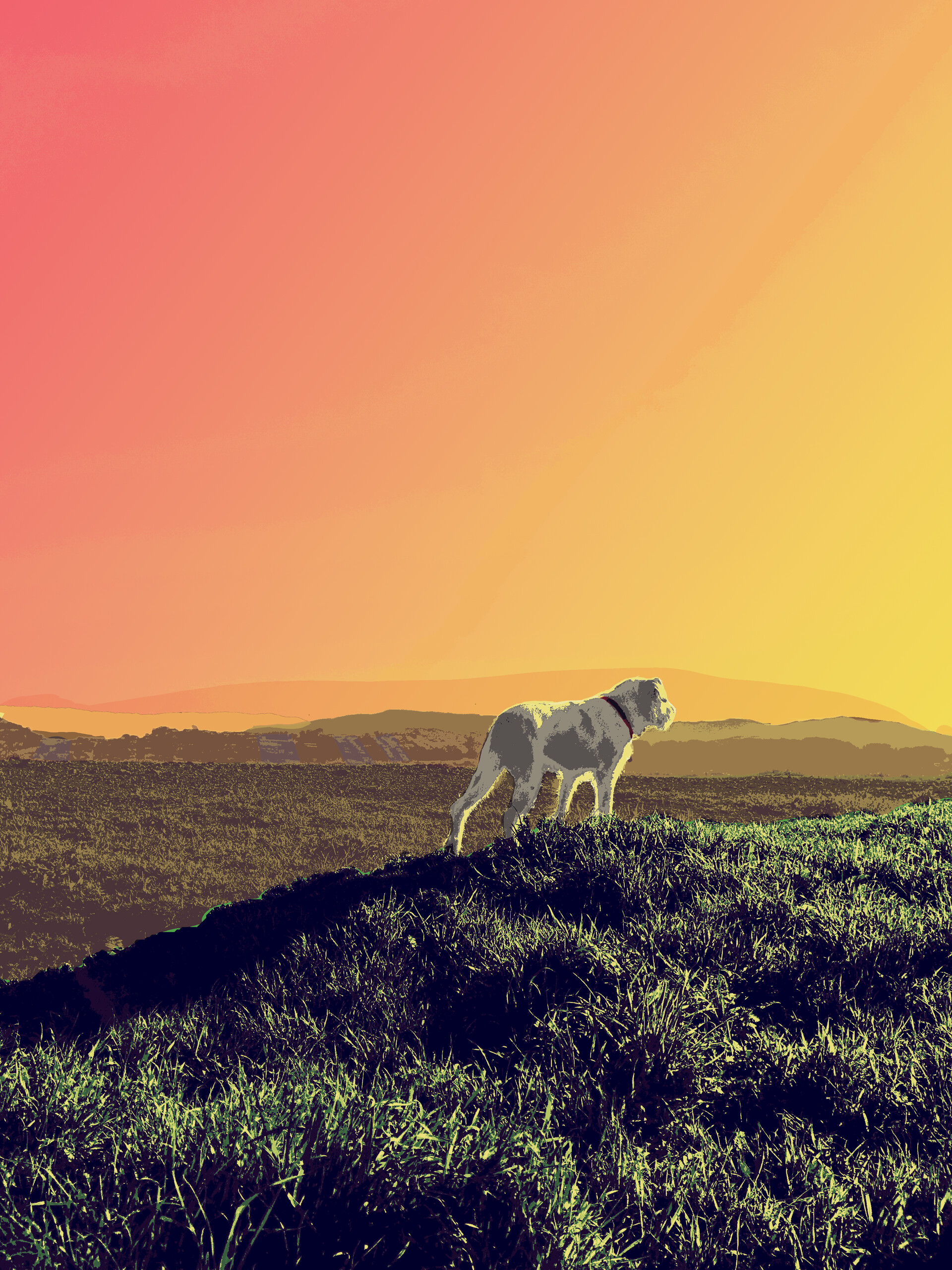 ArtStation - Bernal Dog