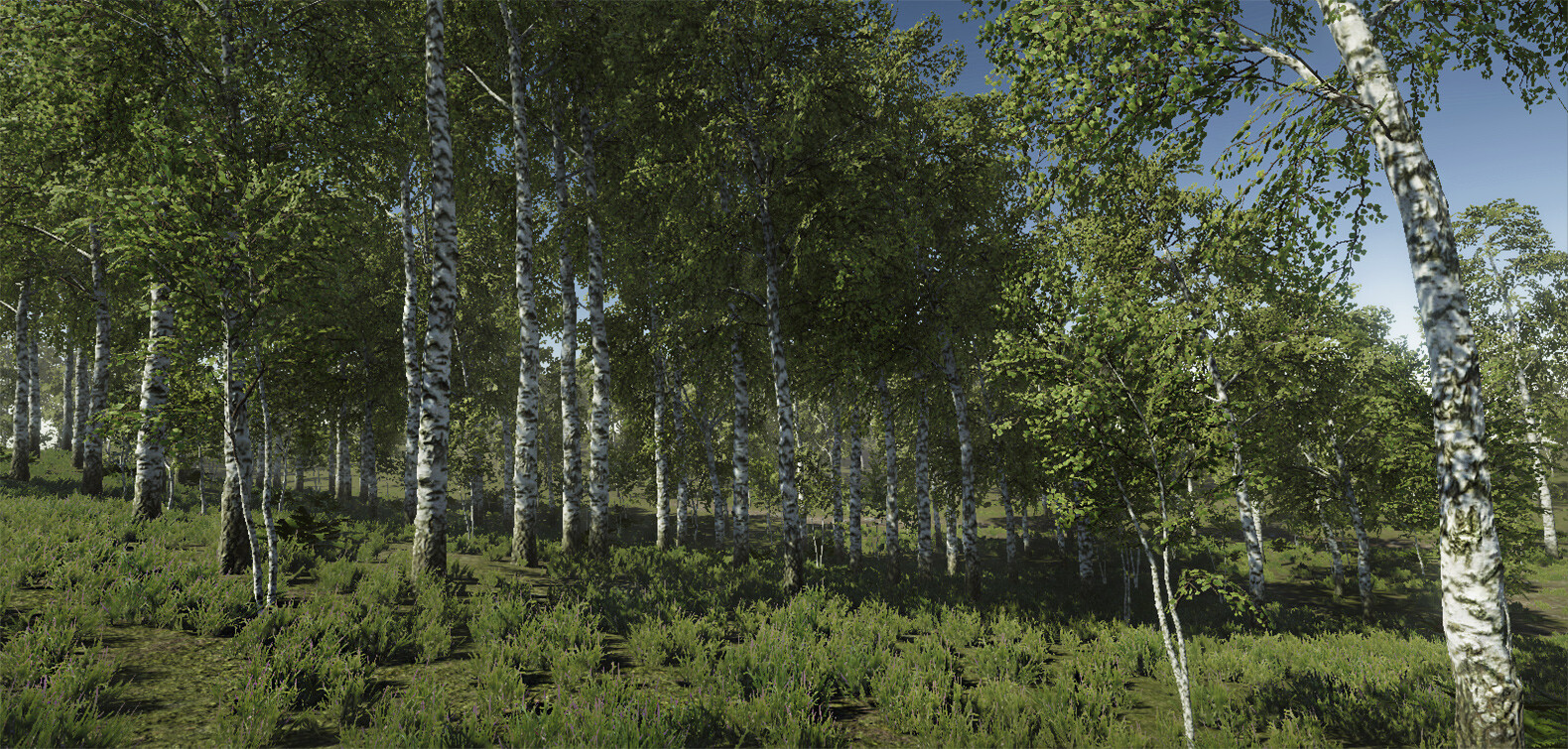 ArtStation - Birch Trees