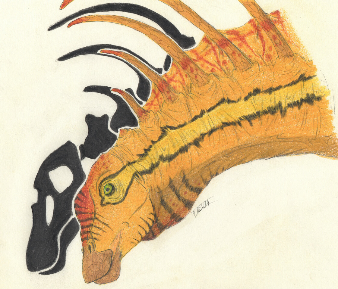 ArtStation - Bajadasaurus