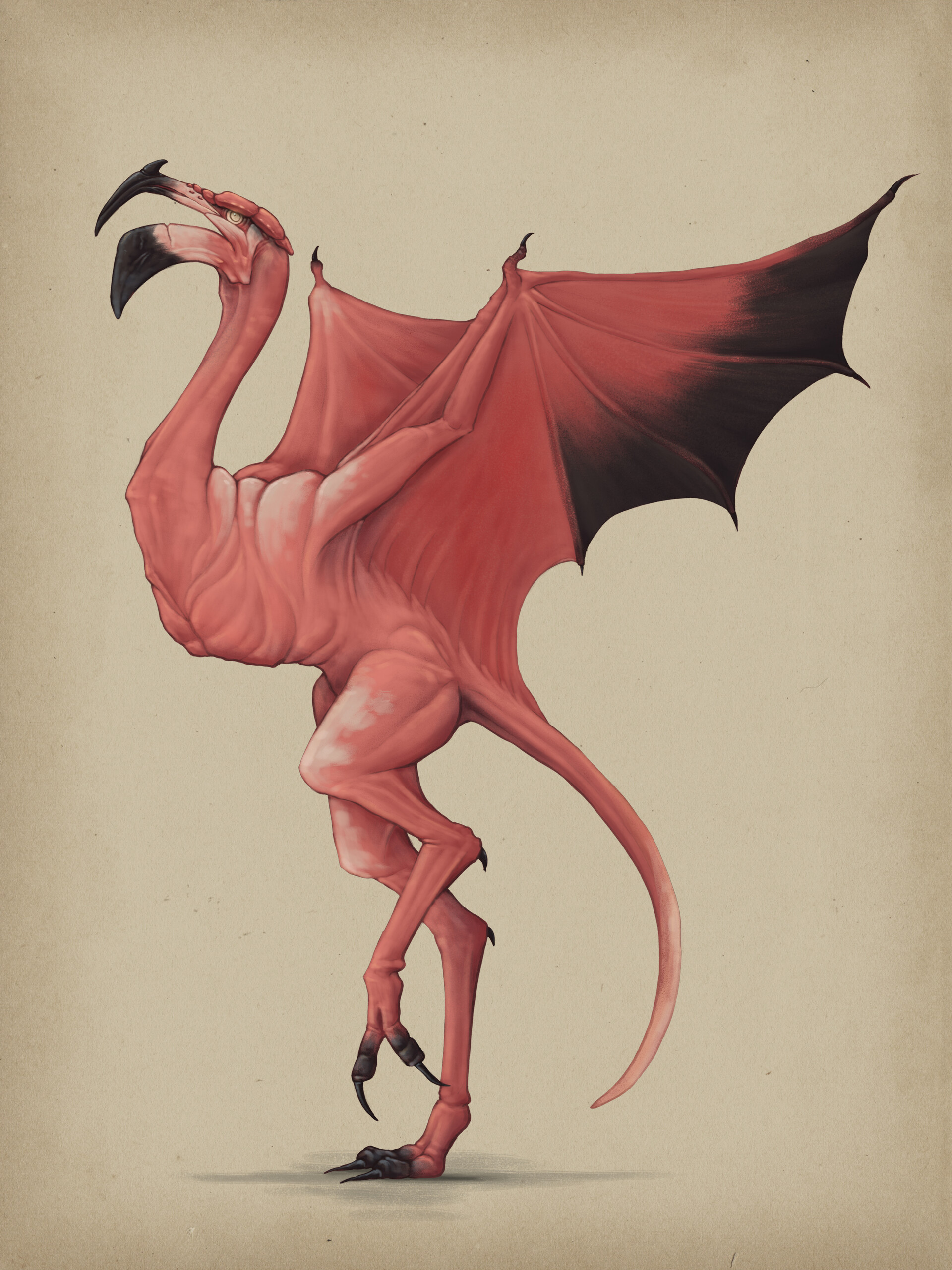 ArtStation - Flamingo Wyvern