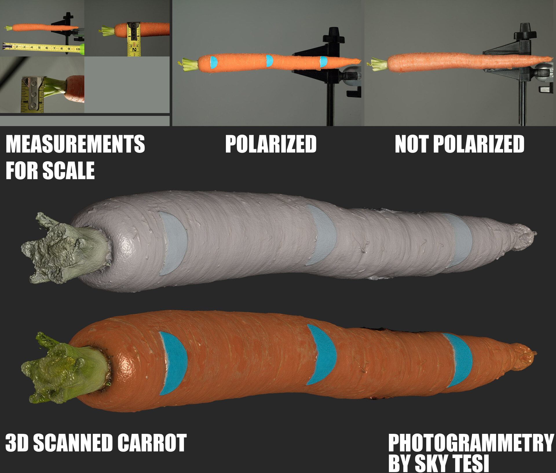 ArtStation - Carrot Photogrammetry 3D Scan