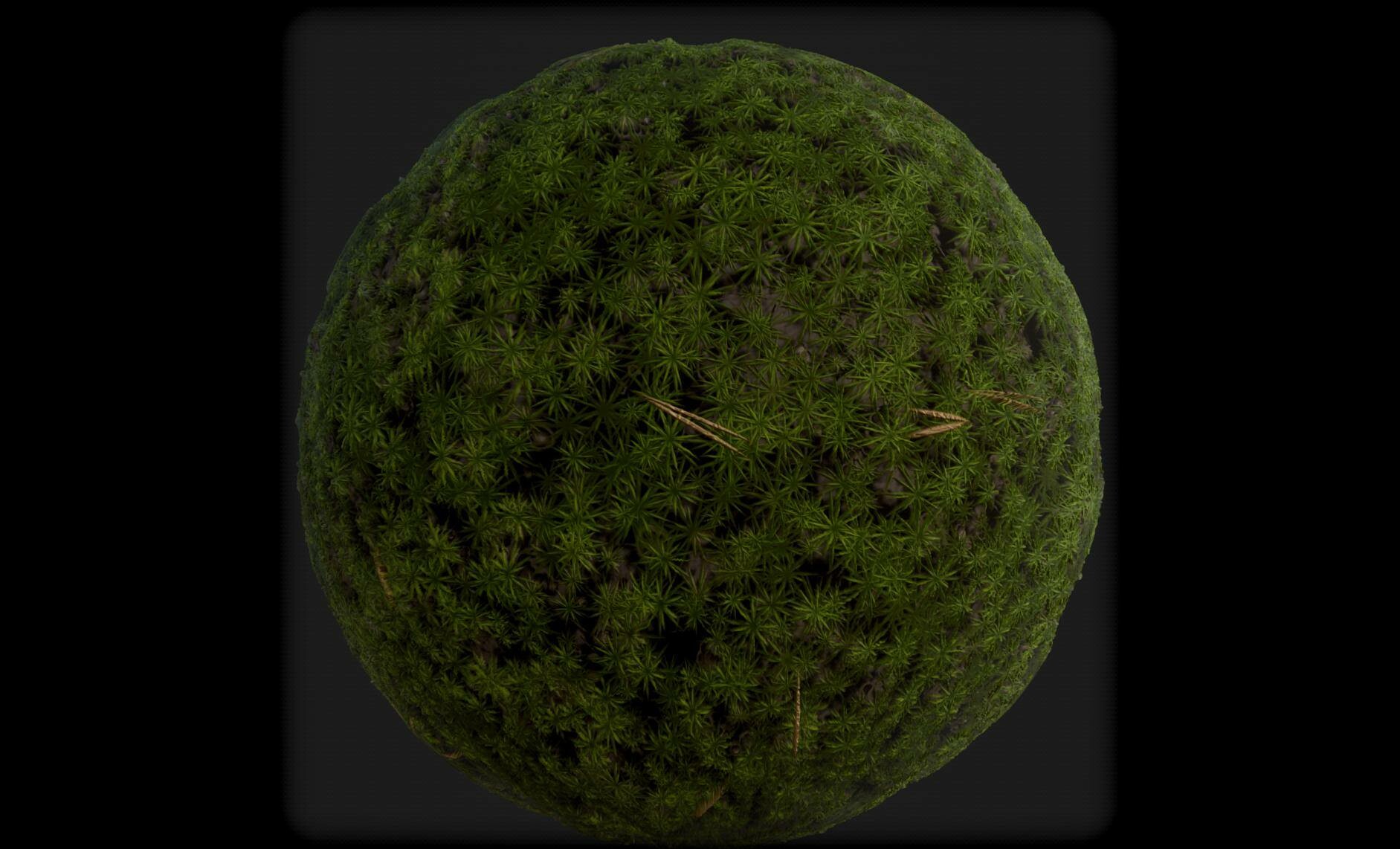 ArtStation - Forest moss