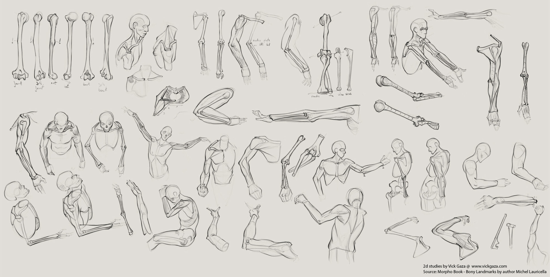 how to draw a human model