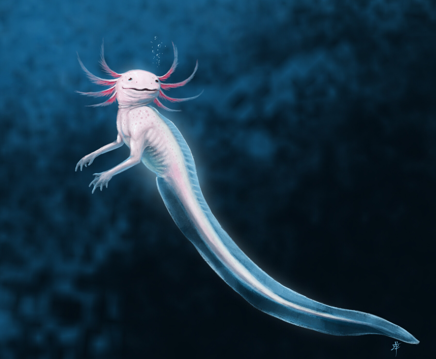 River Monsters Unhooked Mermaids