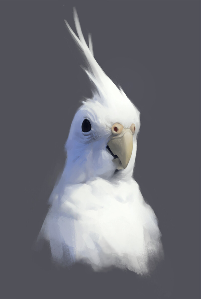 ArtStation - Bird Portrait