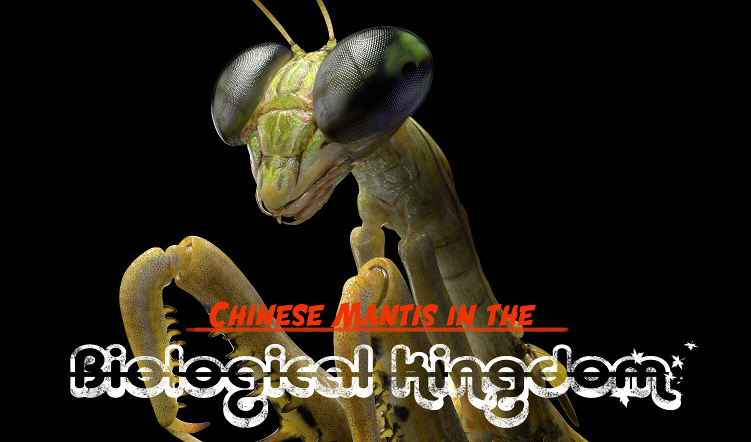 ArtStation - Chinese Mantis in the Biological Kingdom
