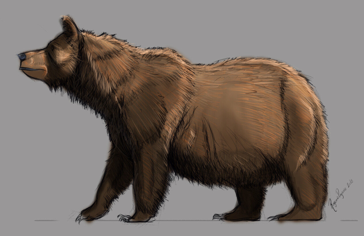 ArtStation - Bear (Urso)