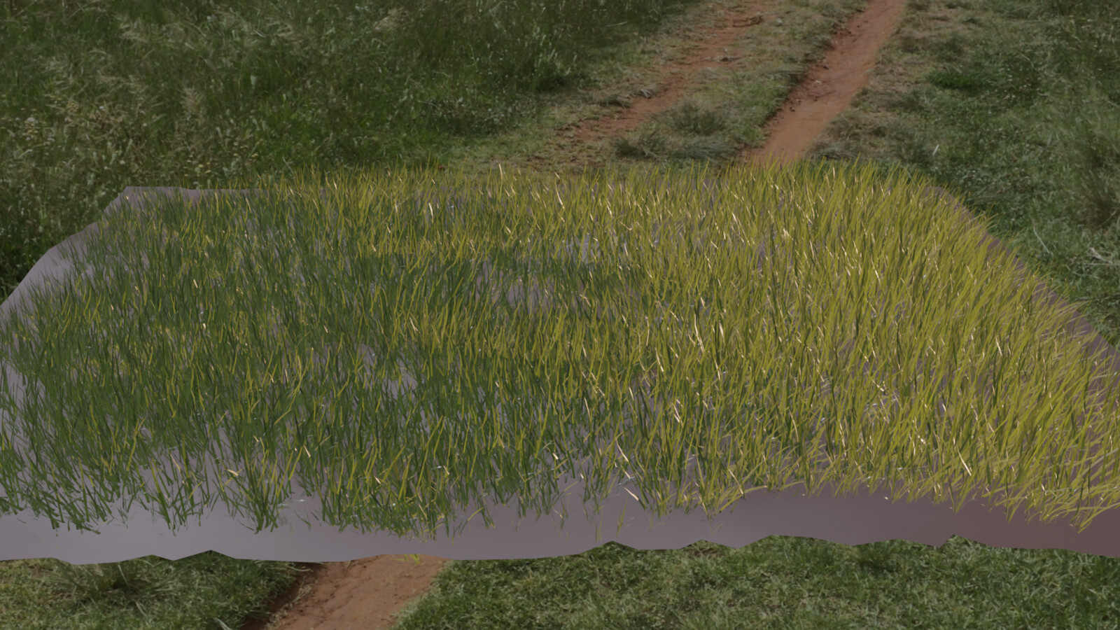 Nikki Stabler - Grass render