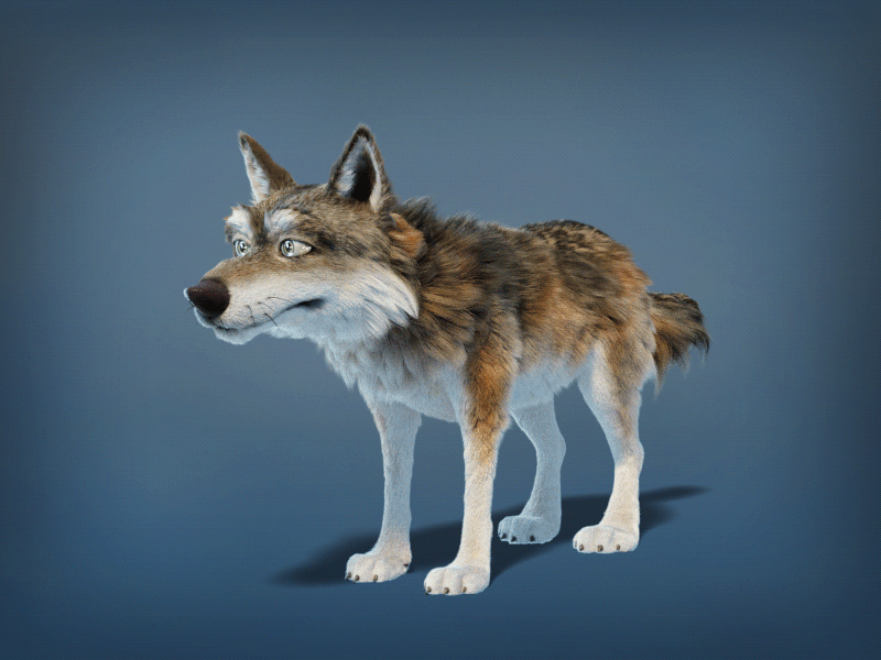 wolf animation