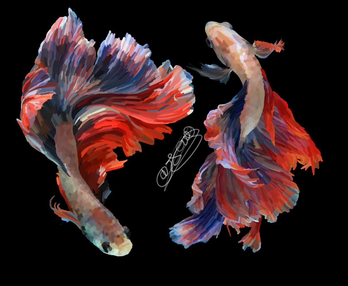 ArtStation - Beta fish
