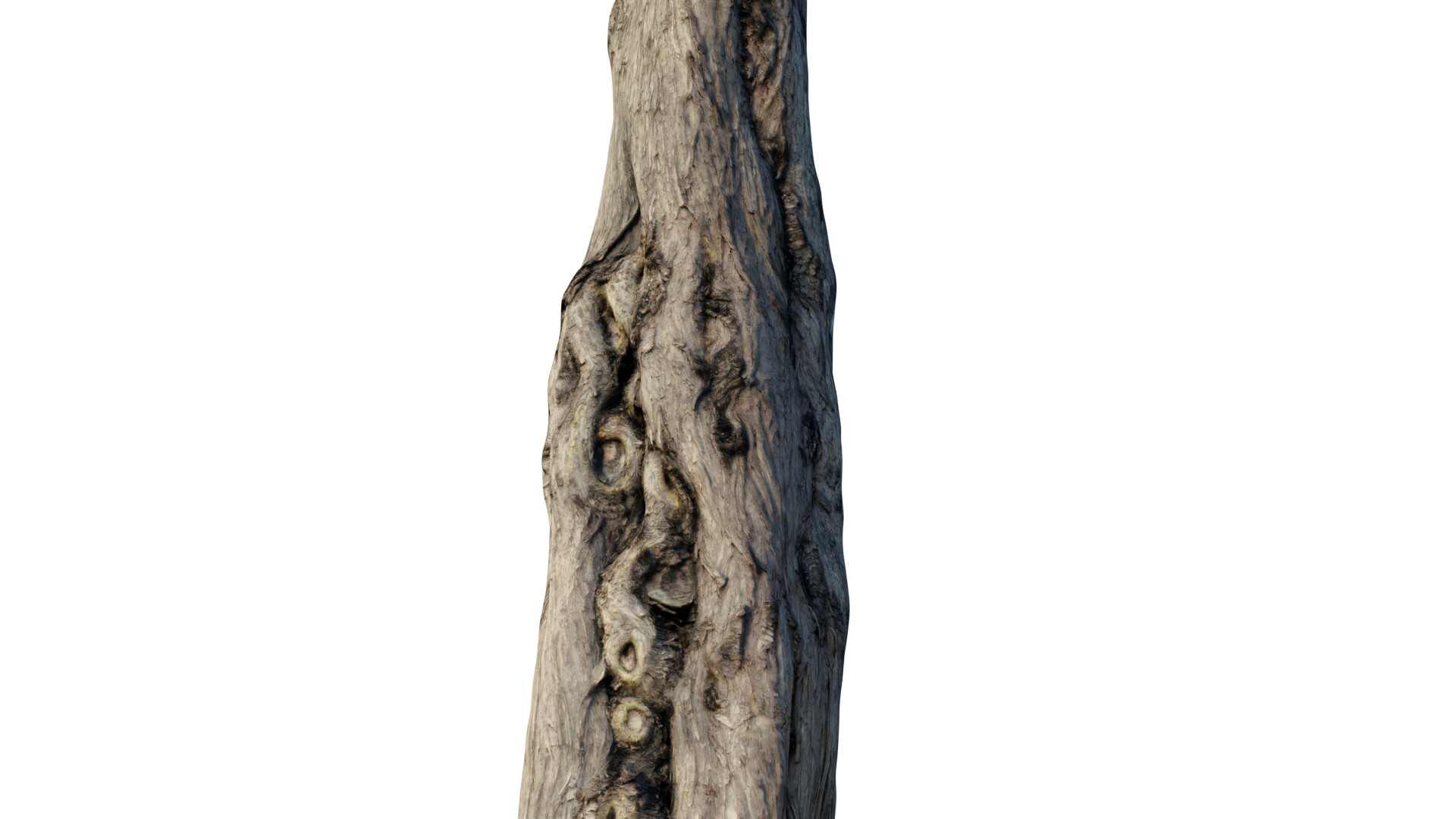 Default Cube - Tree 3D Scan