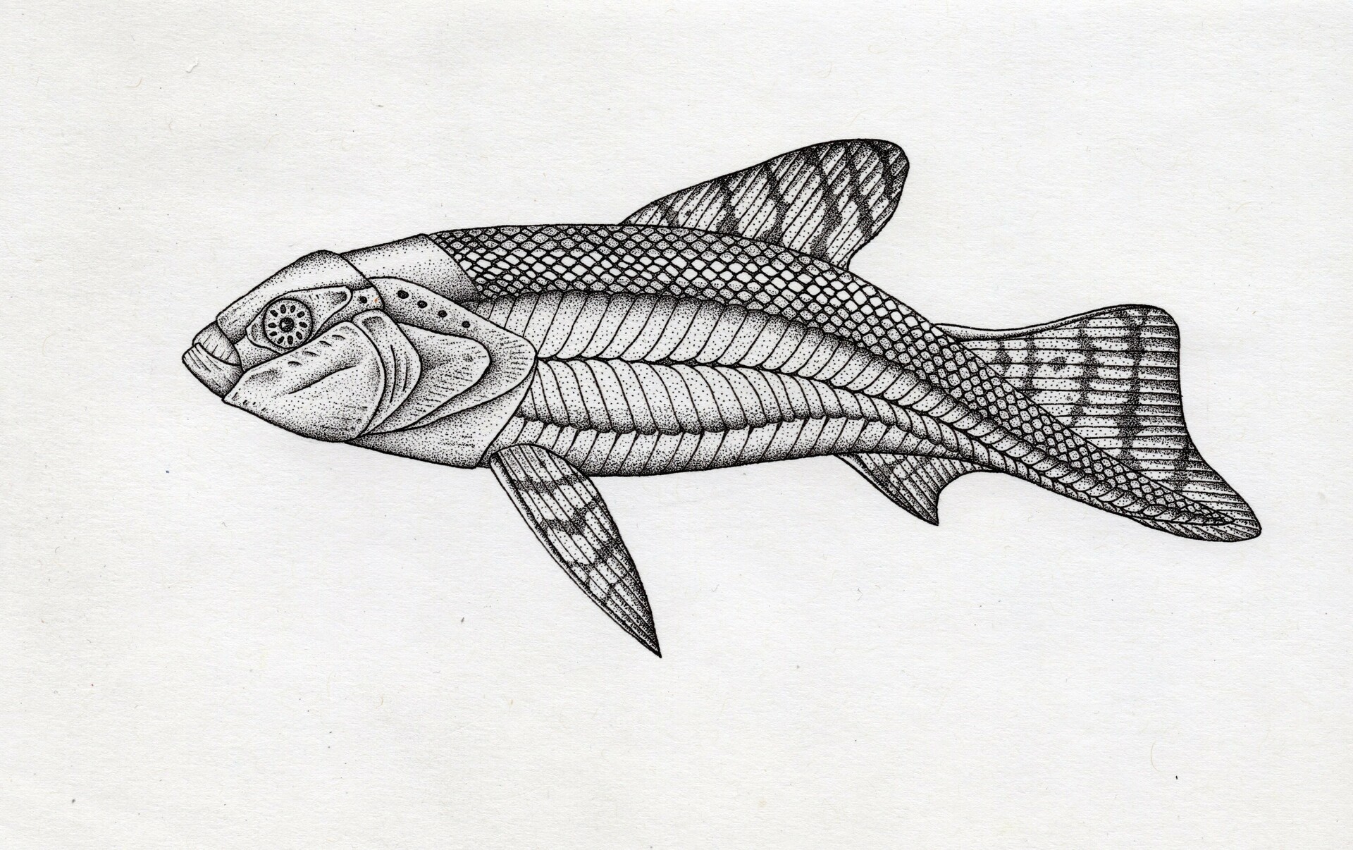 ArtStation - Falcon Fish