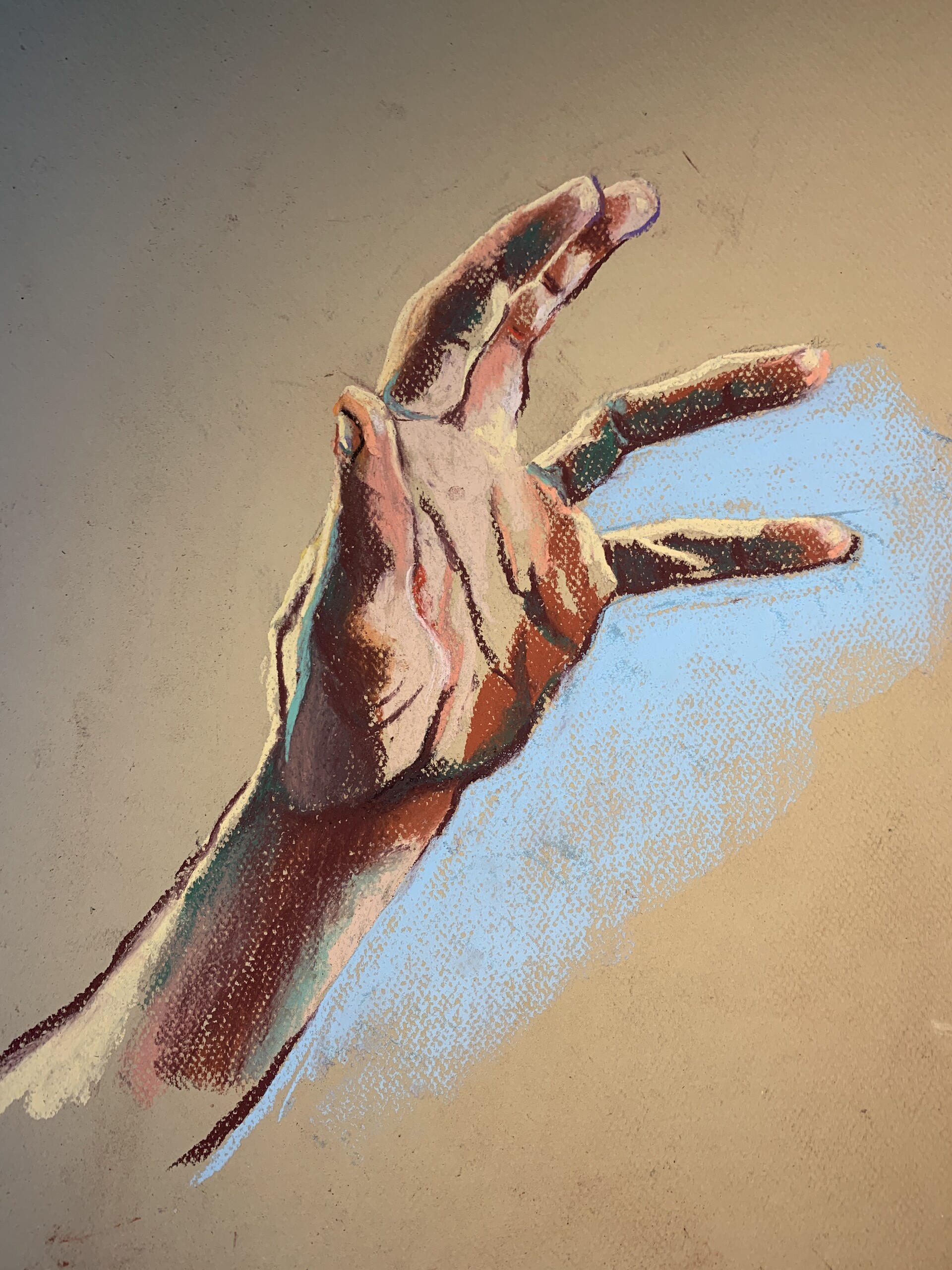 ArtStation - Color study of hands